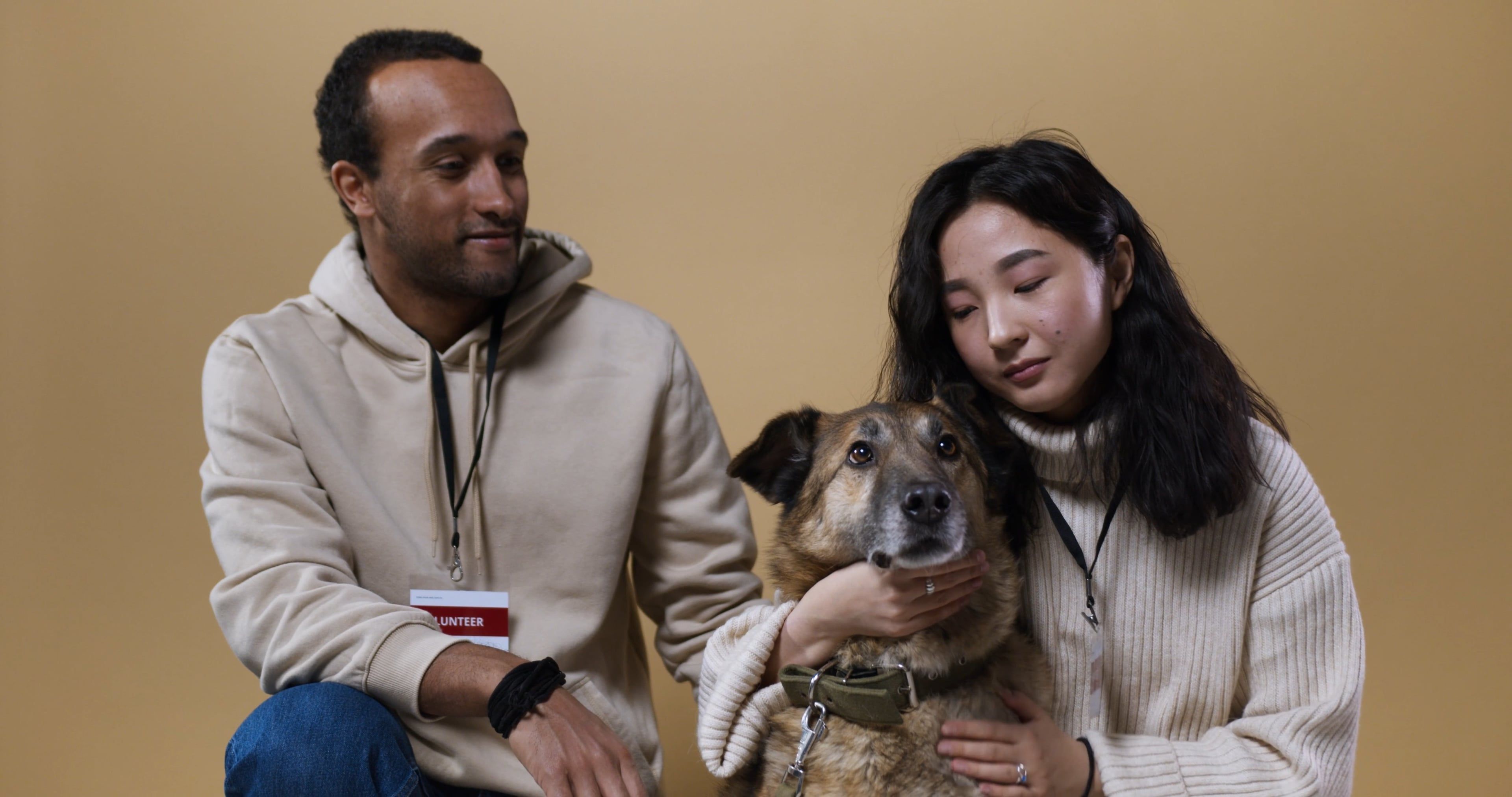Woman Training a Dog · Free Stock Video