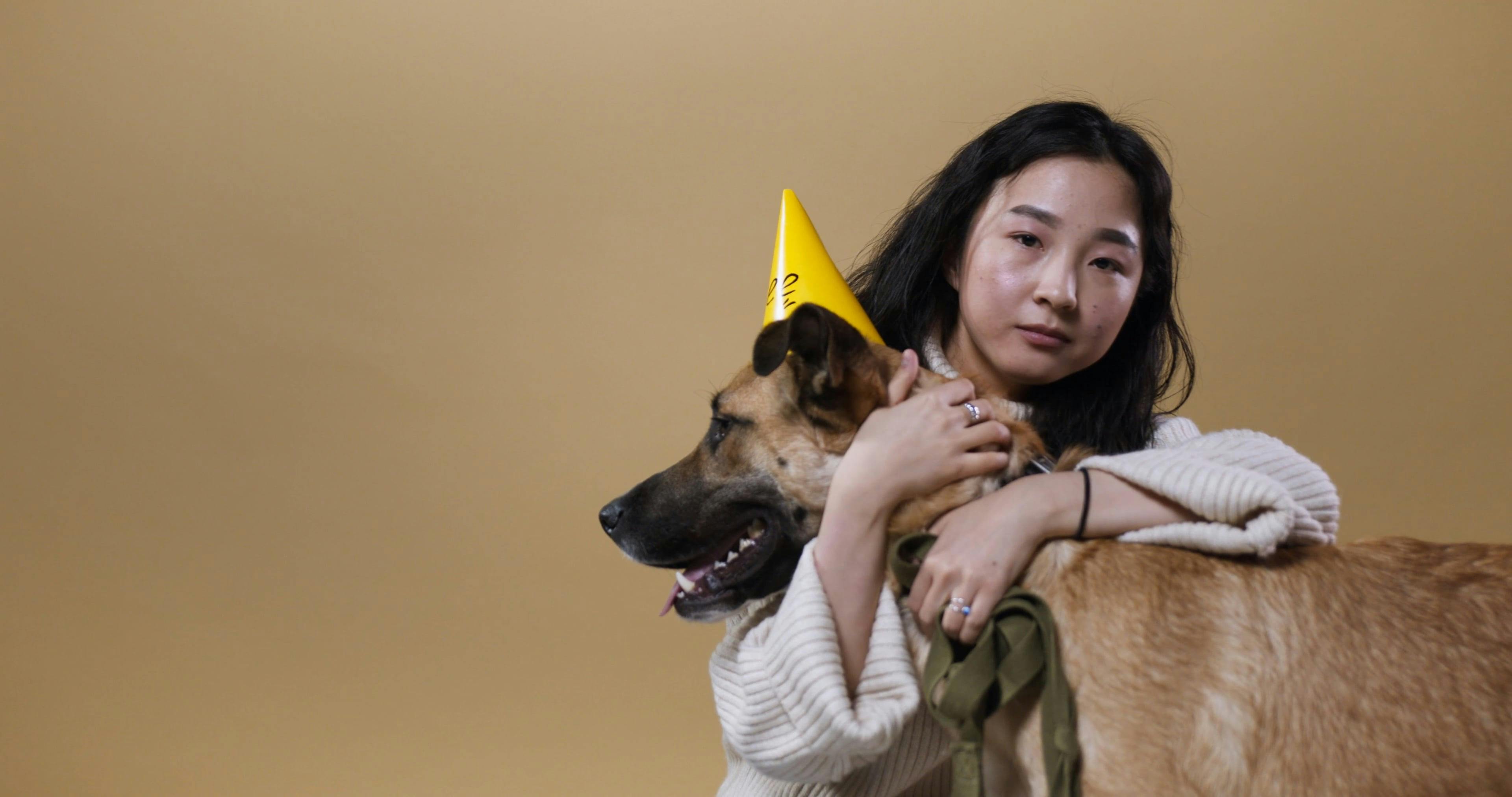 Woman Training a Dog · Free Stock Video