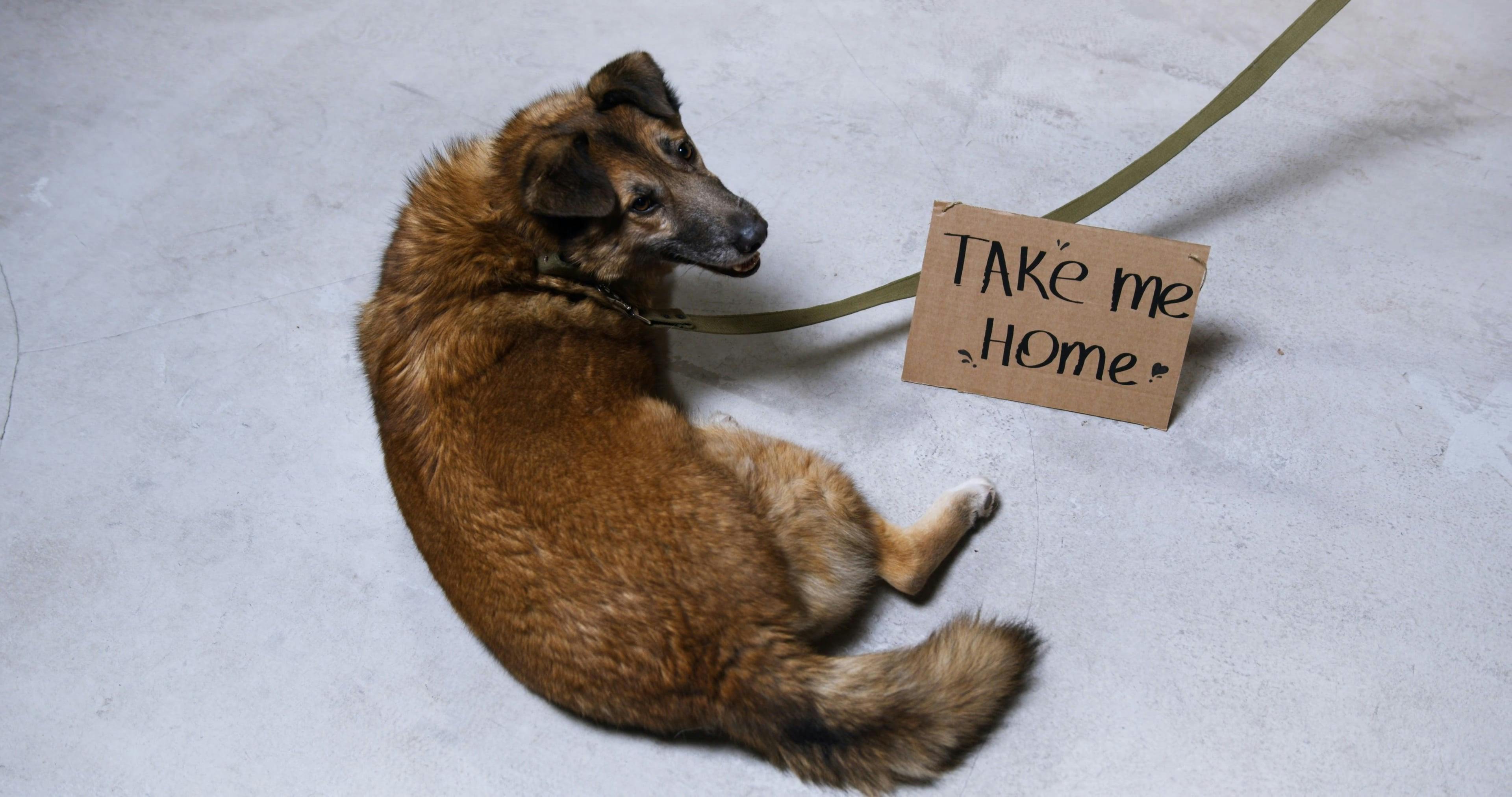 Help Me Videos, Download The BEST Free 4k Stock Video Footage & Help Me ...