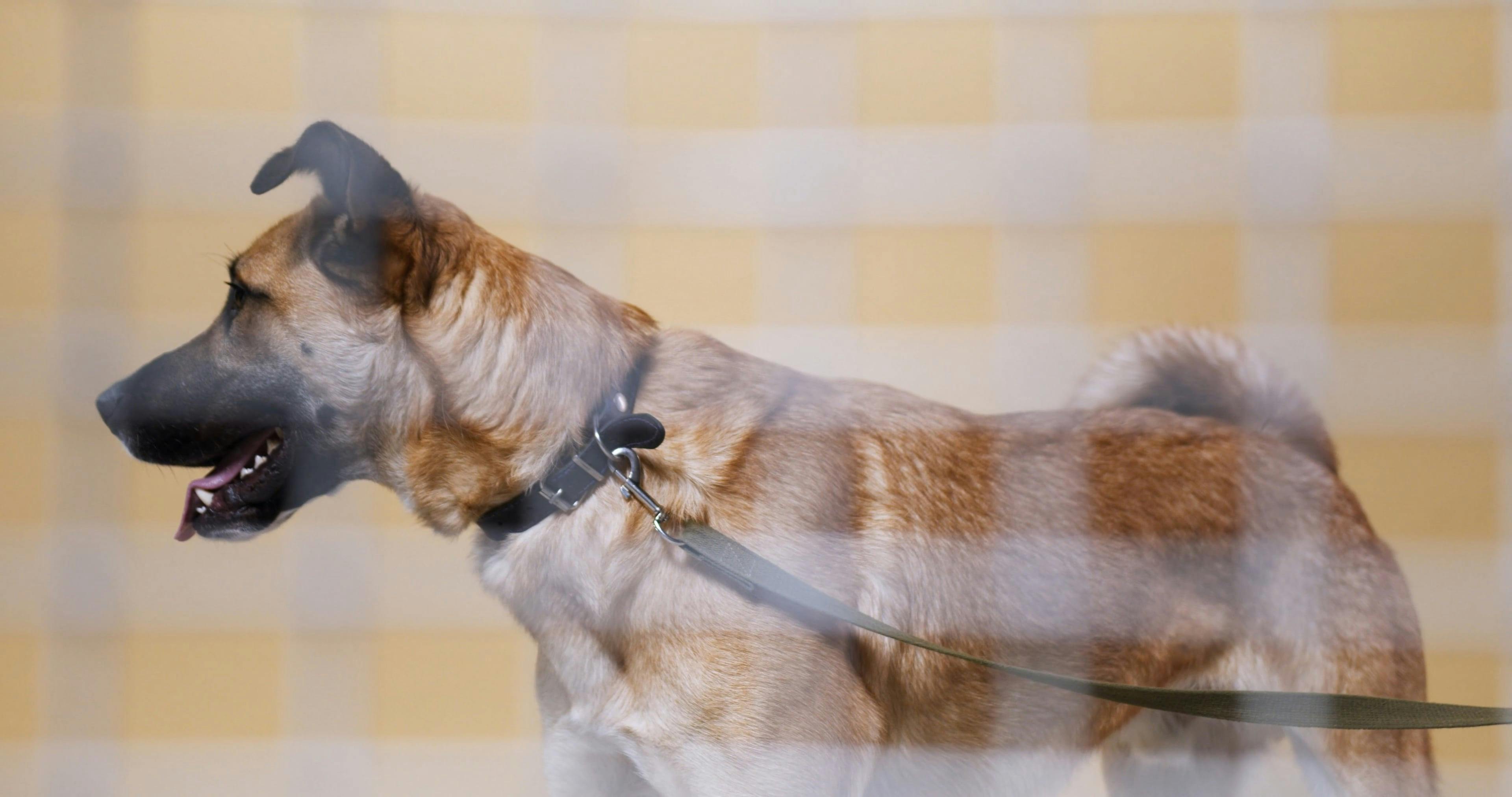 Fuzzy Background Videos, Download The BEST Free 4k Stock Video Footage ...