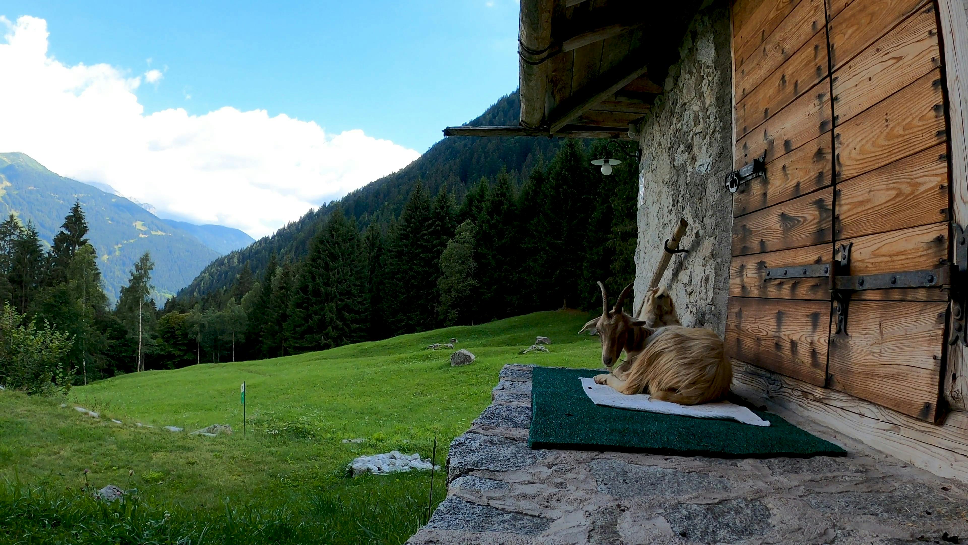 Vídeos de stock gratuitos sobre acostado, aislado, al aire libre ...
