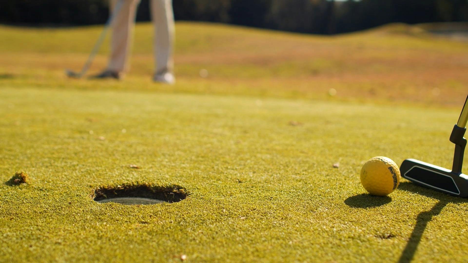 걷고 있는 게임 경쟁 경치 골프 골프 공 골프 구멍 골프 치는 골프 코스 골프 클럽 구멍 균형 그네 기술 녹색 들판 레저 레크리에이션 사람