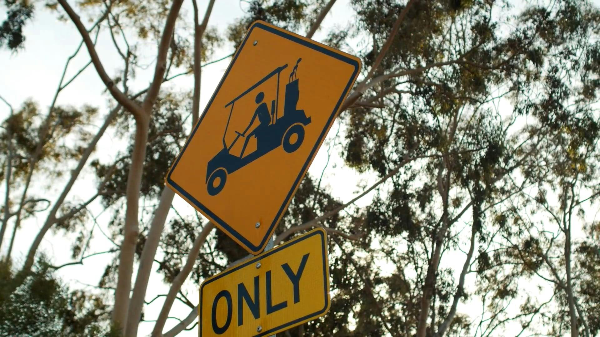 Only Brazer Videos, Download The BEST Free 4k Stock Video Footage ...