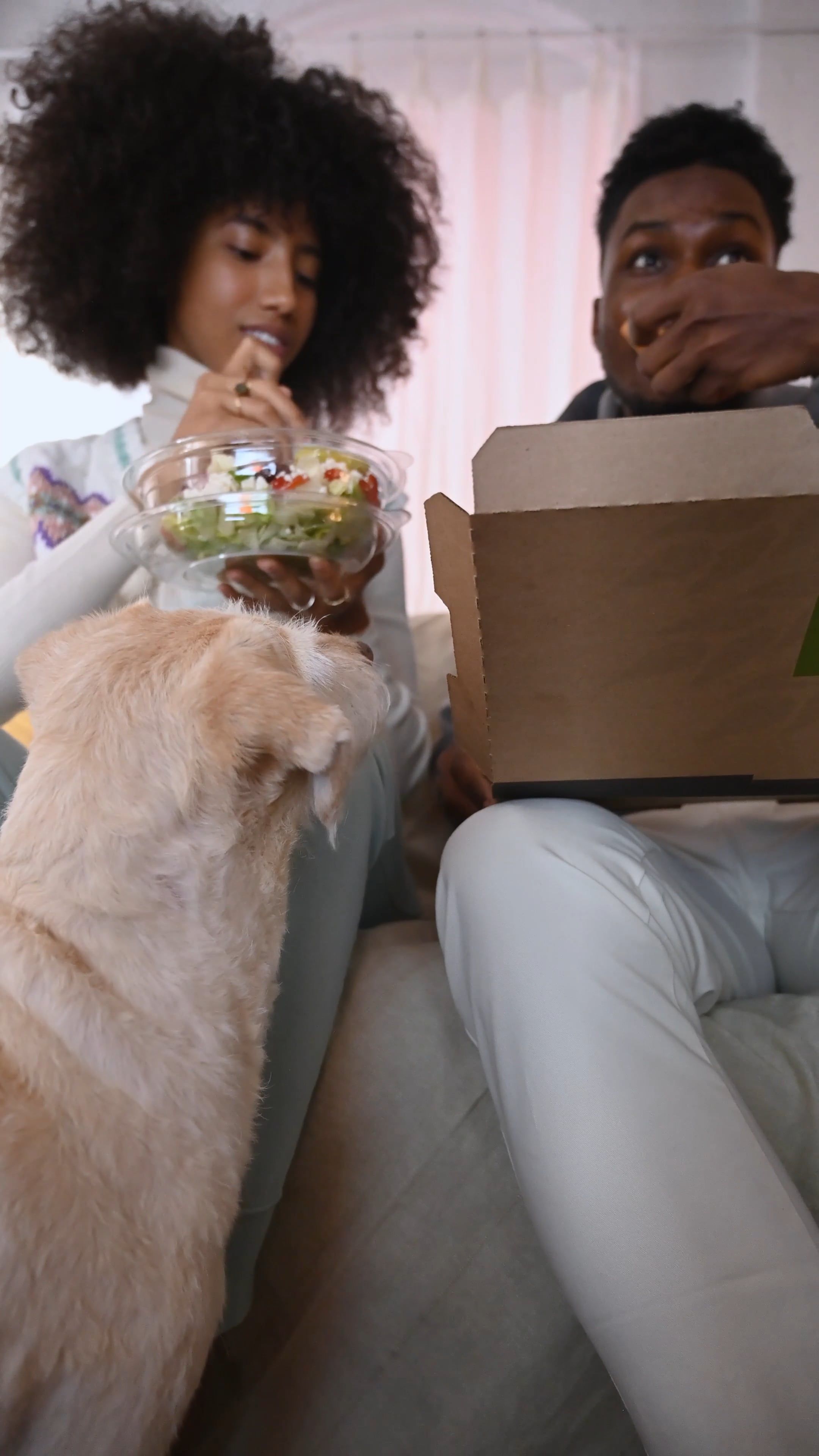 Dog Eating Lunch Videos, Download The BEST Free 4k Stock Video Footage ...