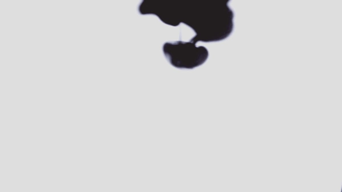 Form Videos, Download The BEST Free 4k Stock Video Footage & Form HD ...