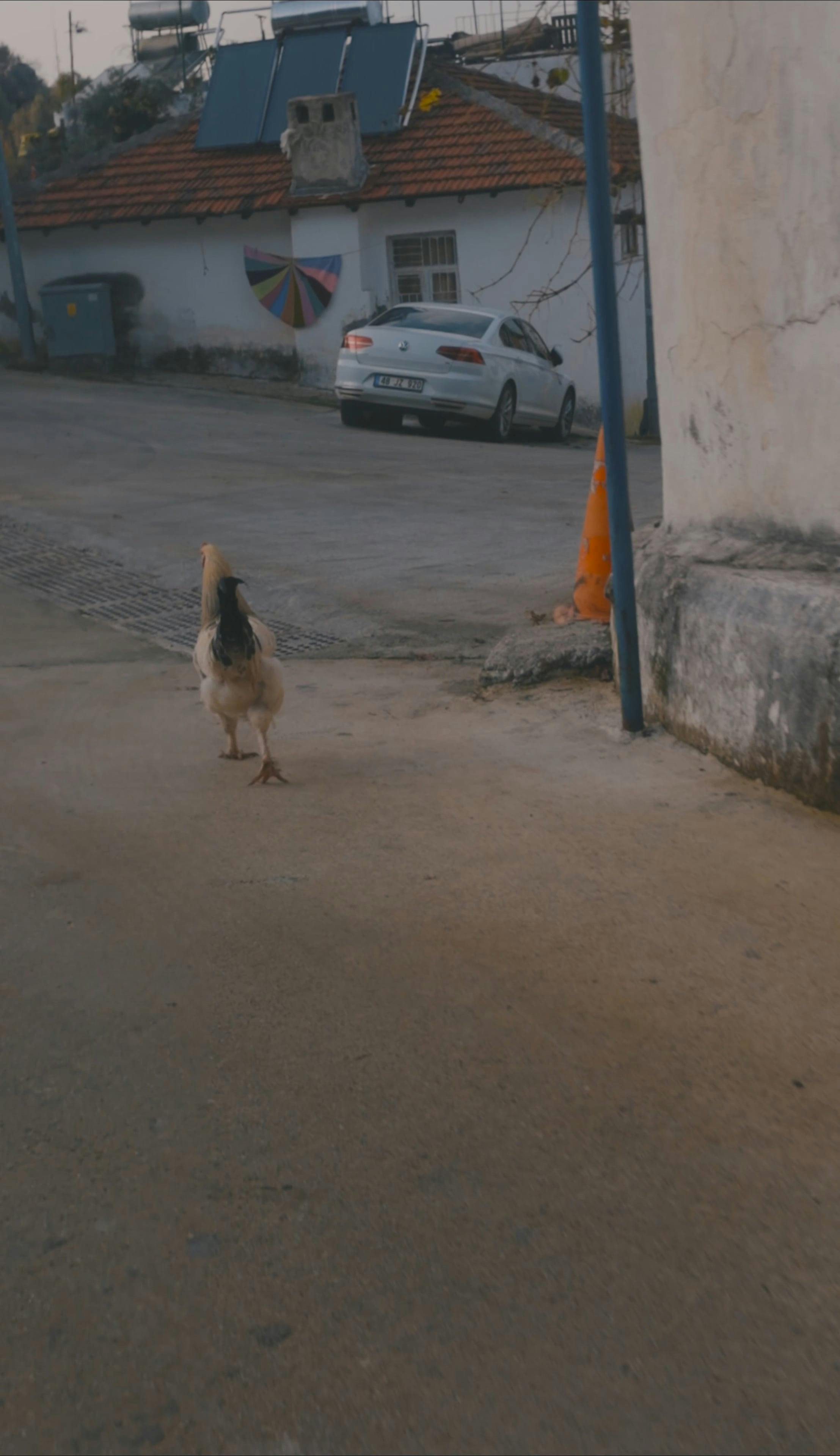 Running Car Video Videos, Download The BEST Free 4k Stock Video Footage ...