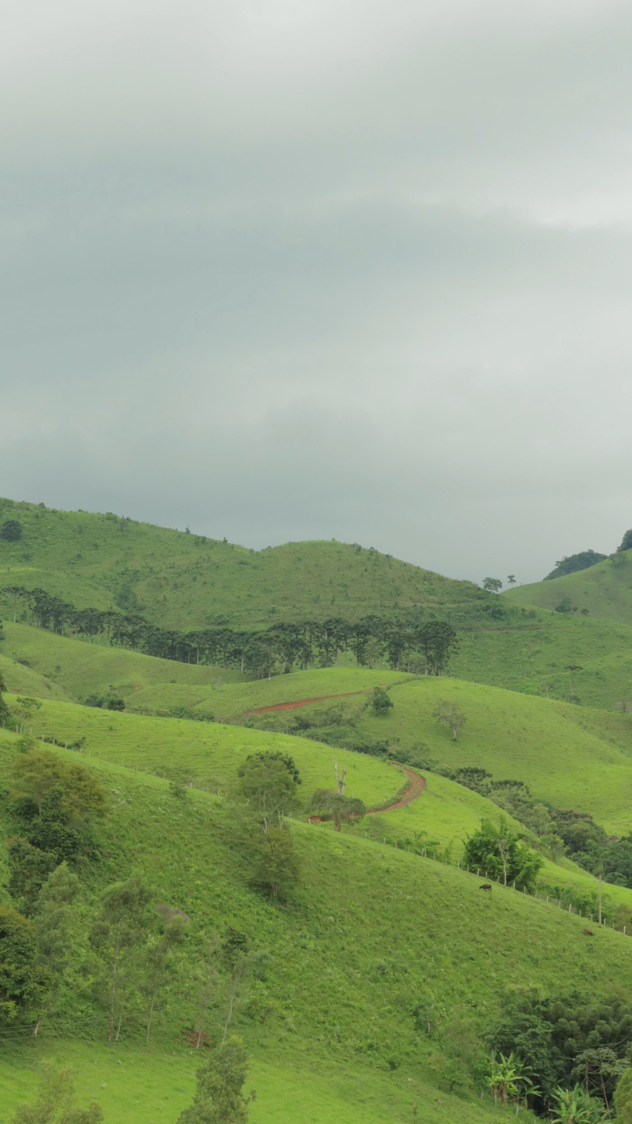 Time-Lapse of Overcast Weather Free Stock Video Footage, Royalty-Free ...