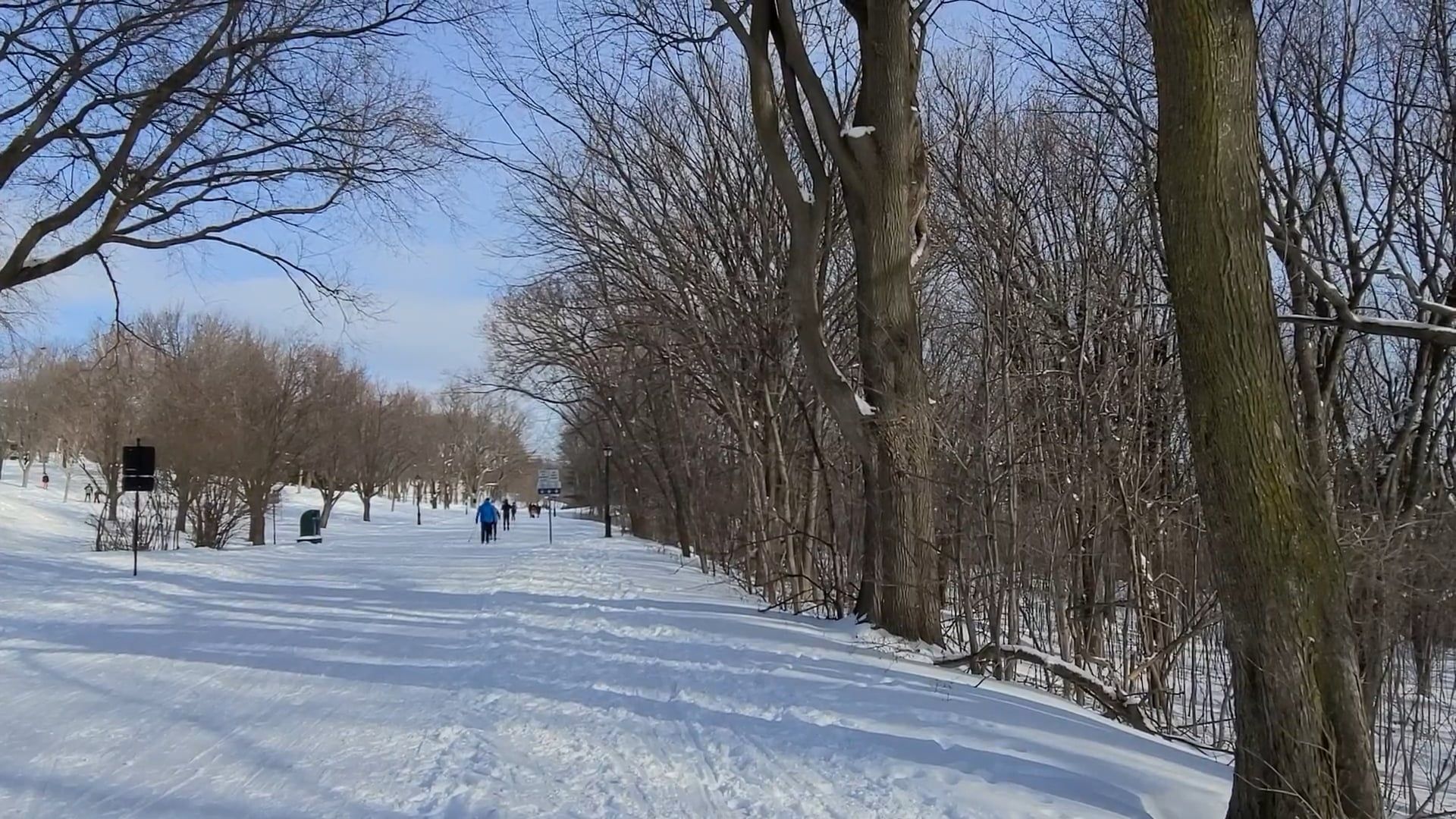 People Skiing in the Snow Free Stock Video Footage, Royalty-Free 4K ...