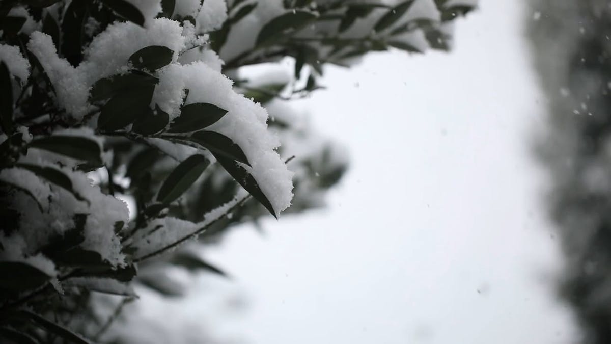 Snow Storm Videos, Download The BEST Free 4k Stock Video Footage & Snow ...