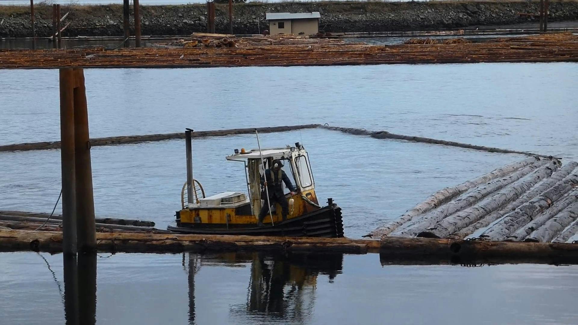 Tugboat Log Booming Free Stock Video Footage, Royalty-Free 4K & HD ...