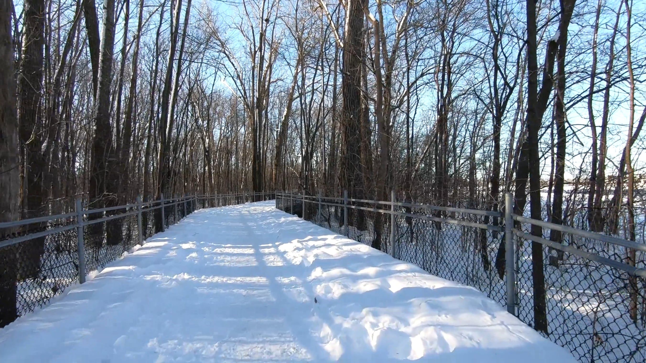 Morning Walk Videos, Download The BEST Free 4k Stock Video Footage ...