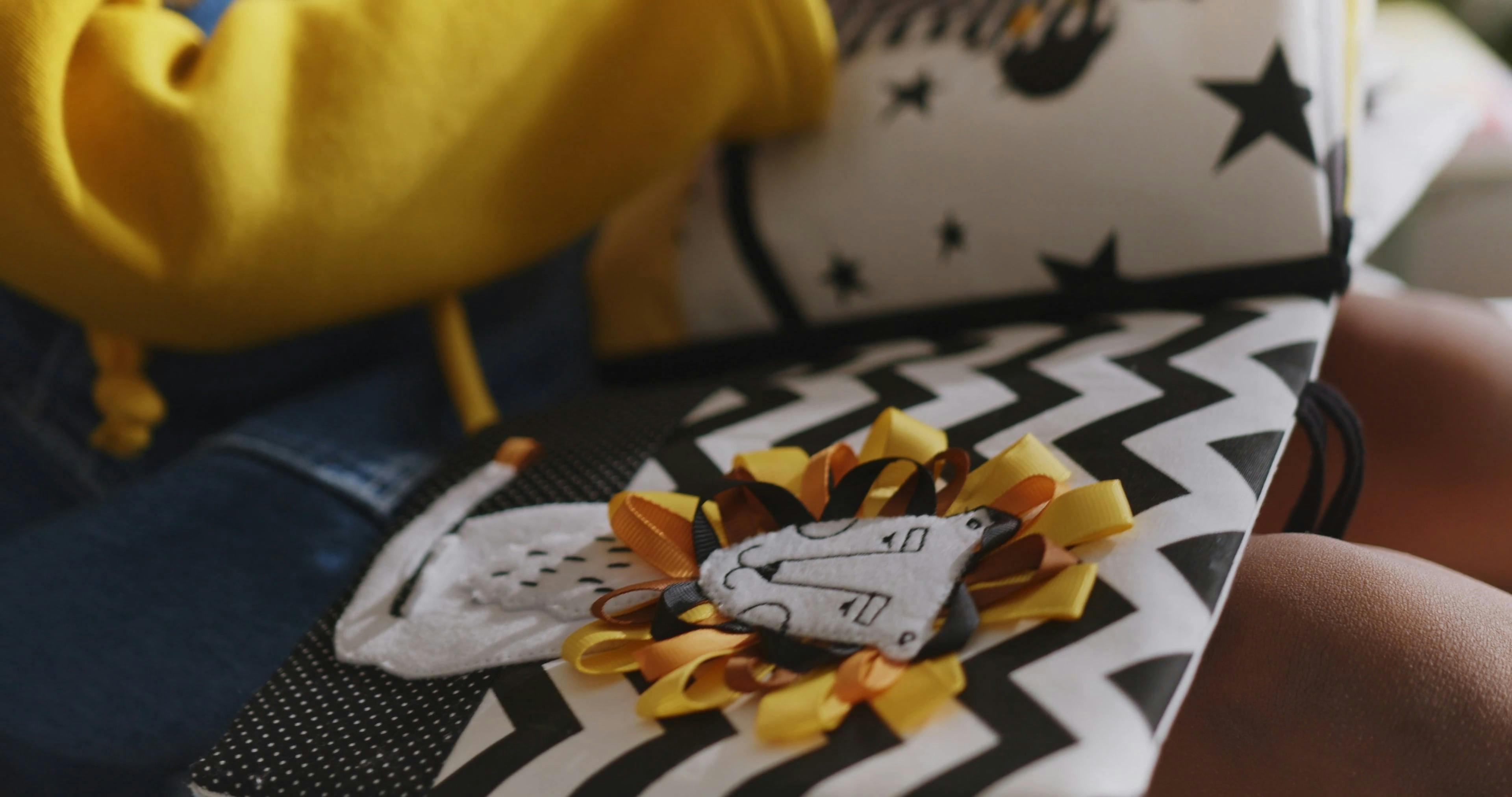 Lion Fun Demurrage Videos, Download The BEST Free 4k Stock Video ...