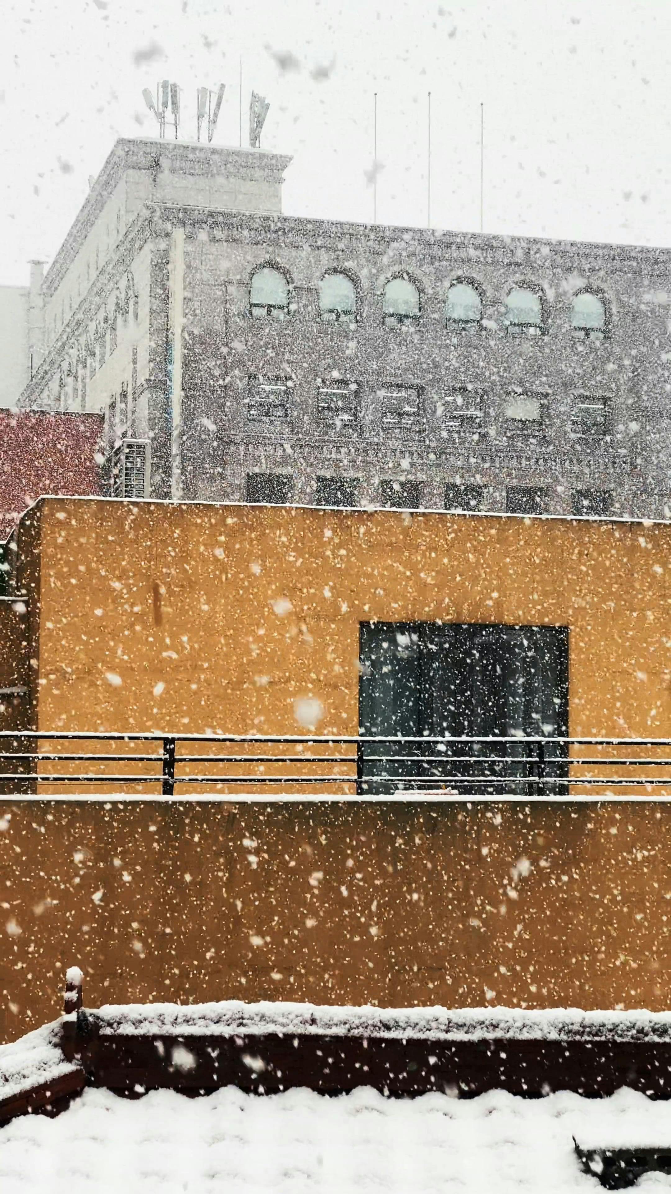 Snowfall Scene Videos, Download The BEST Free 4k Stock Video Footage ...