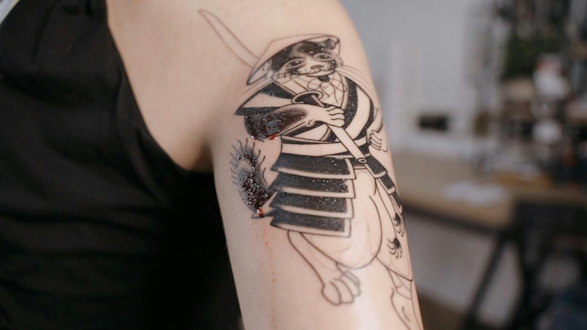 Dog Parlor Videos, Download The BEST Free 4k Stock Video Footage & Dog ...