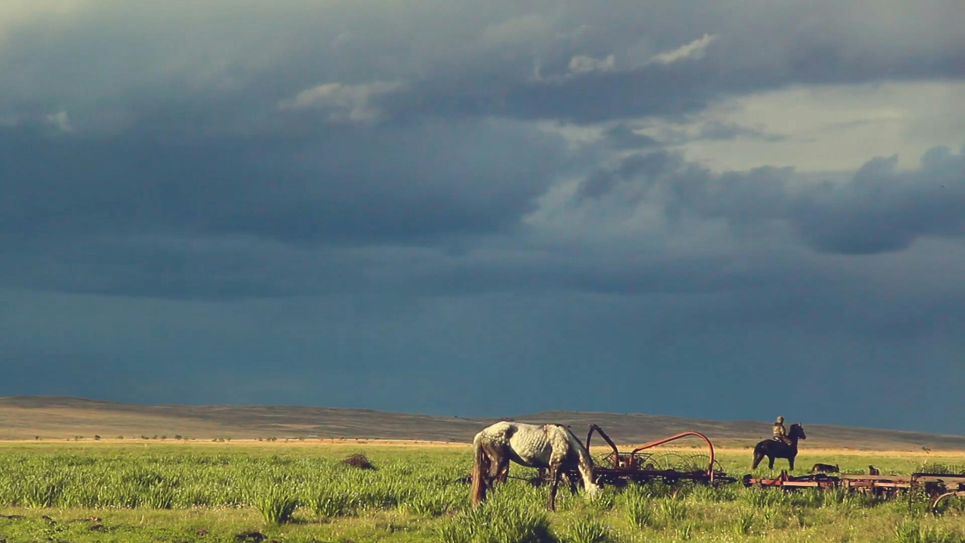 Panning Shot of Steppe Grasslands Free Stock Video Footage, Royalty ...