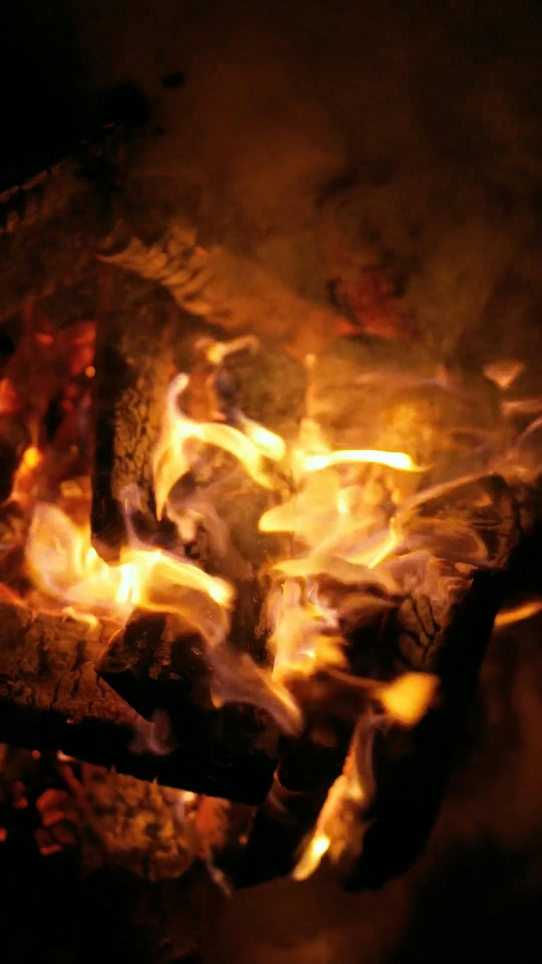 A Bonfire Giving Light From The Darkness Of The Night · Free Stock Video