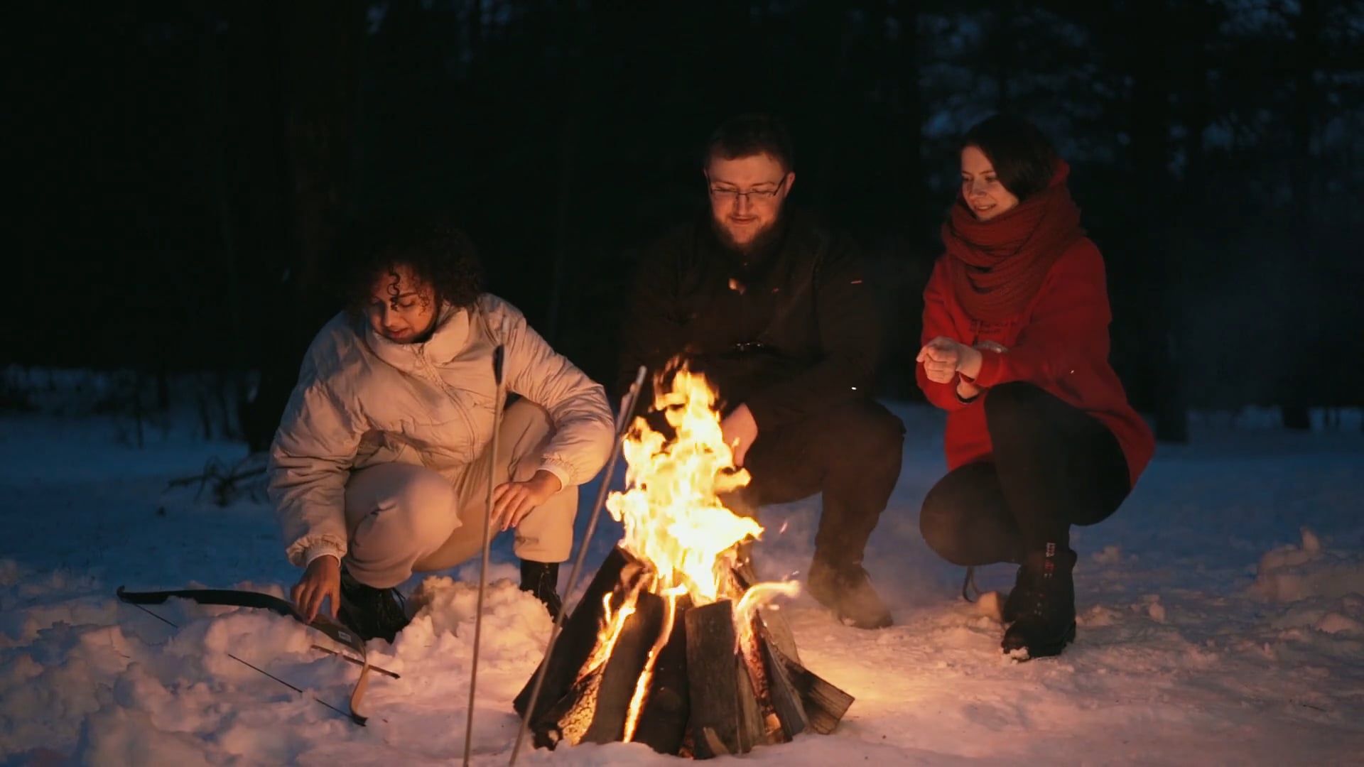 Friends in a Bonfire · Free Stock Video