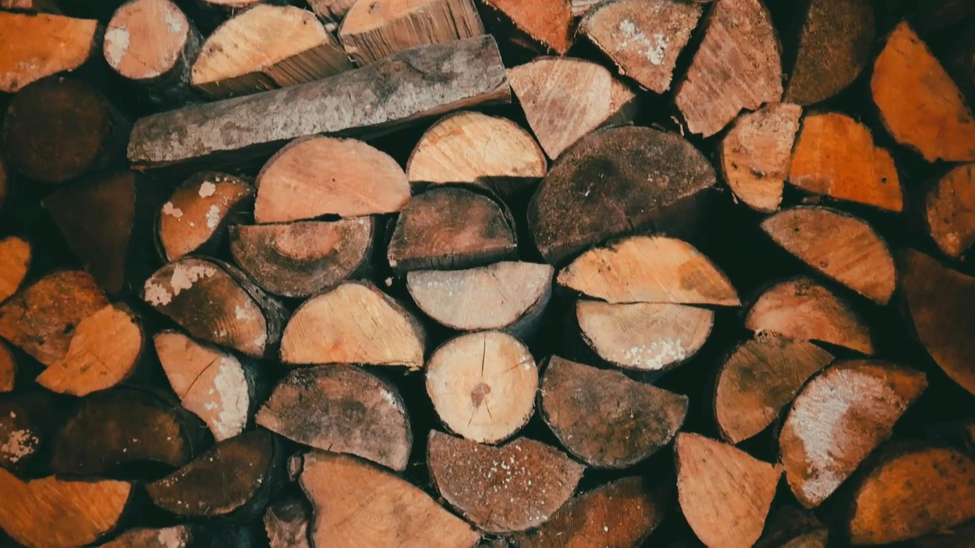 Logging In Videos, Download The BEST Free 4k Stock Video Footage ...