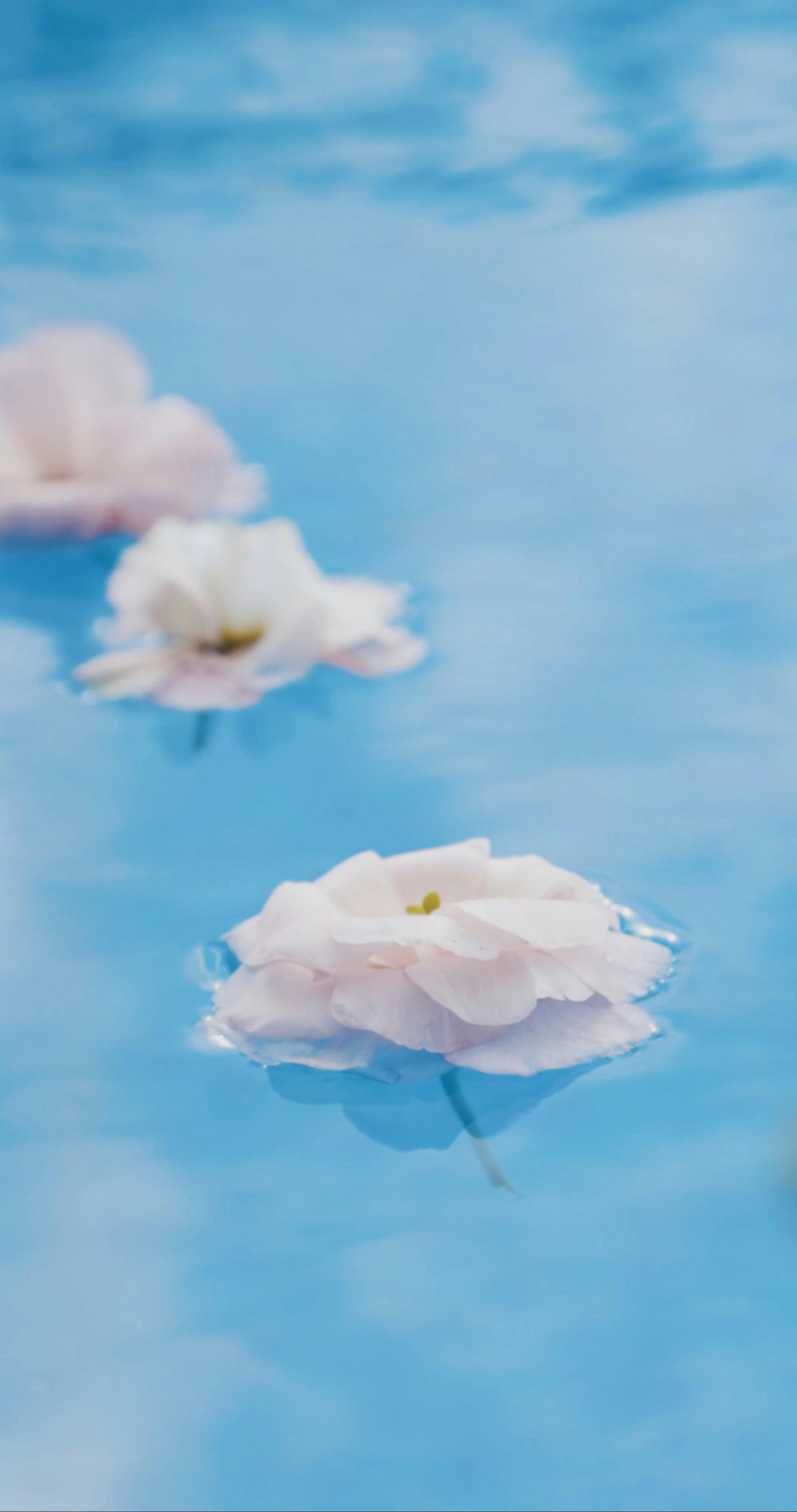 White Water Spa Videos, Download The BEST Free 4k Stock Video Footage ...