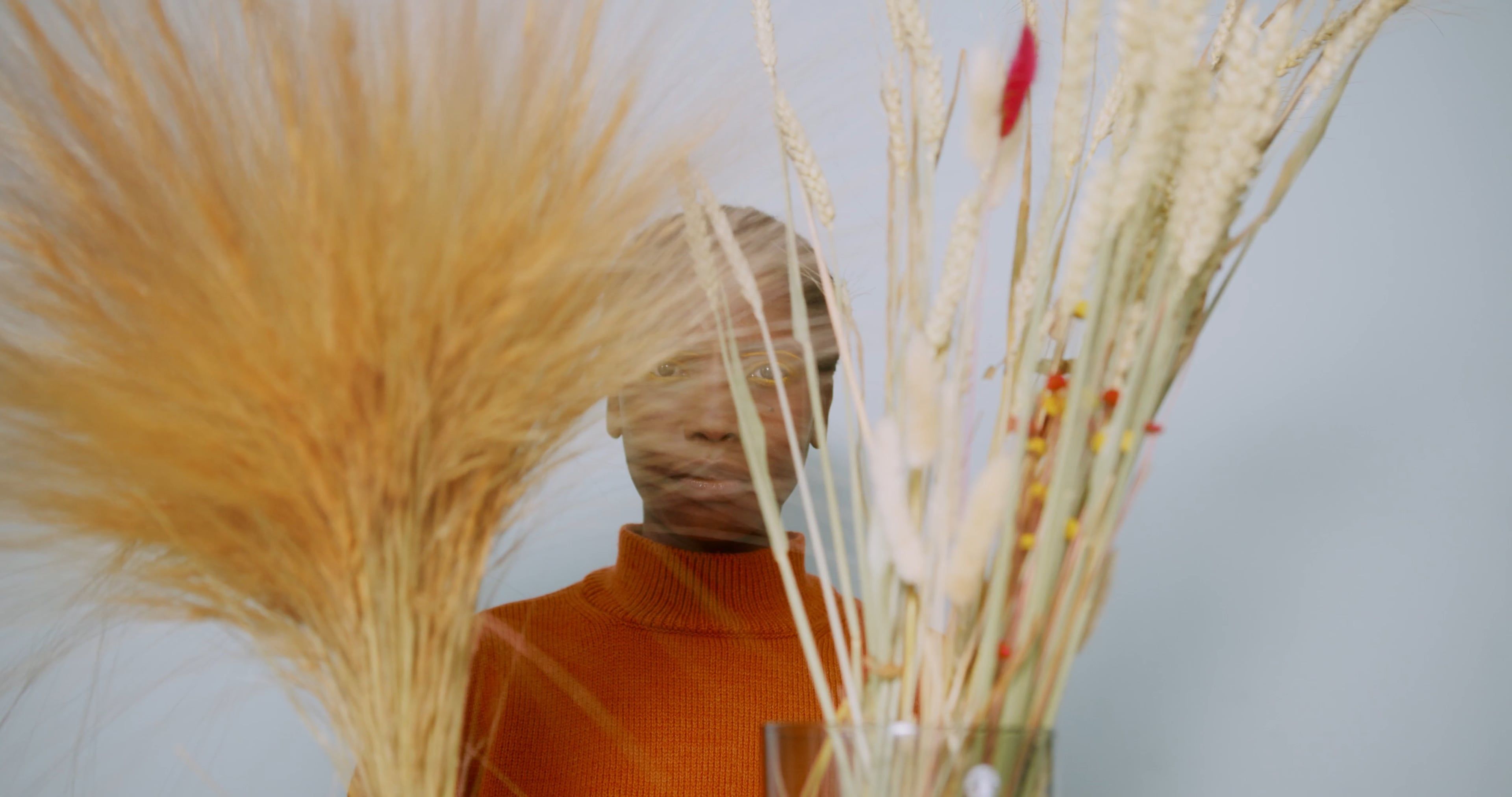Face Wheat Videos, Download The BEST Free 4k Stock Video Footage & Face ...