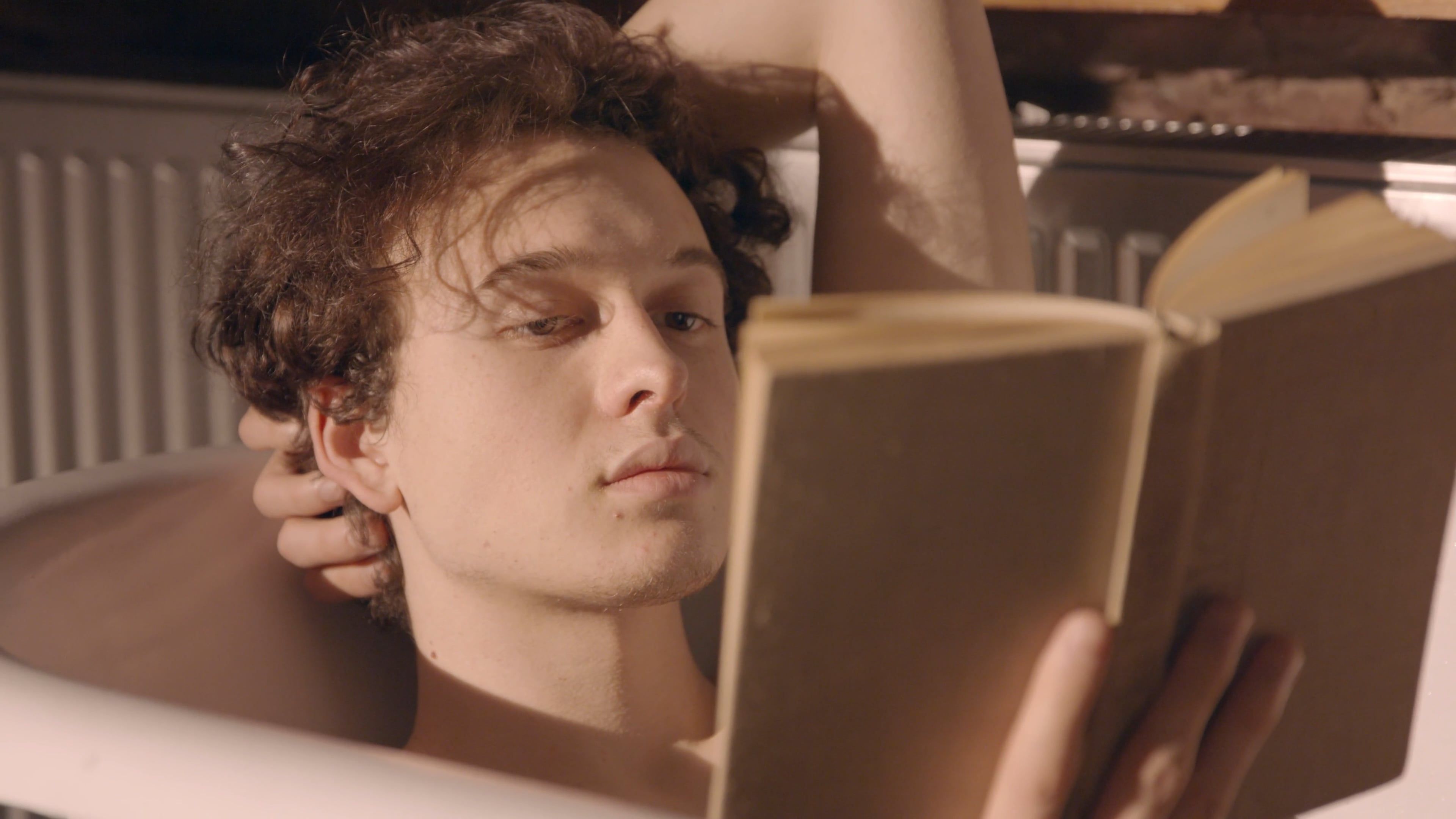 Man Reading Book Free Stock Video Footage, Royalty-Free 4K & HD Video Clip