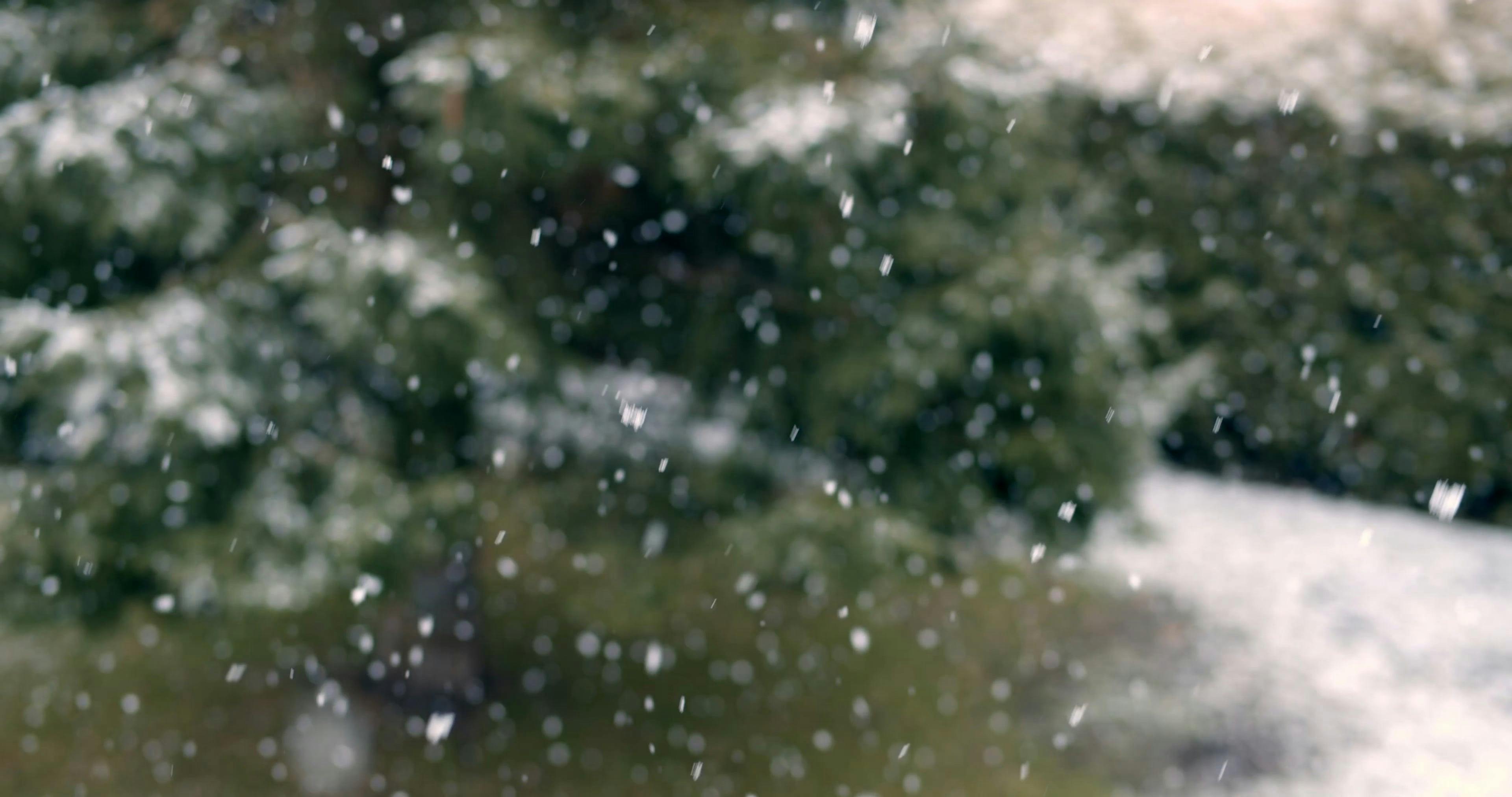 Snow Falling Down Free Stock Video Footage, Royalty-Free 4K & HD Video Clip