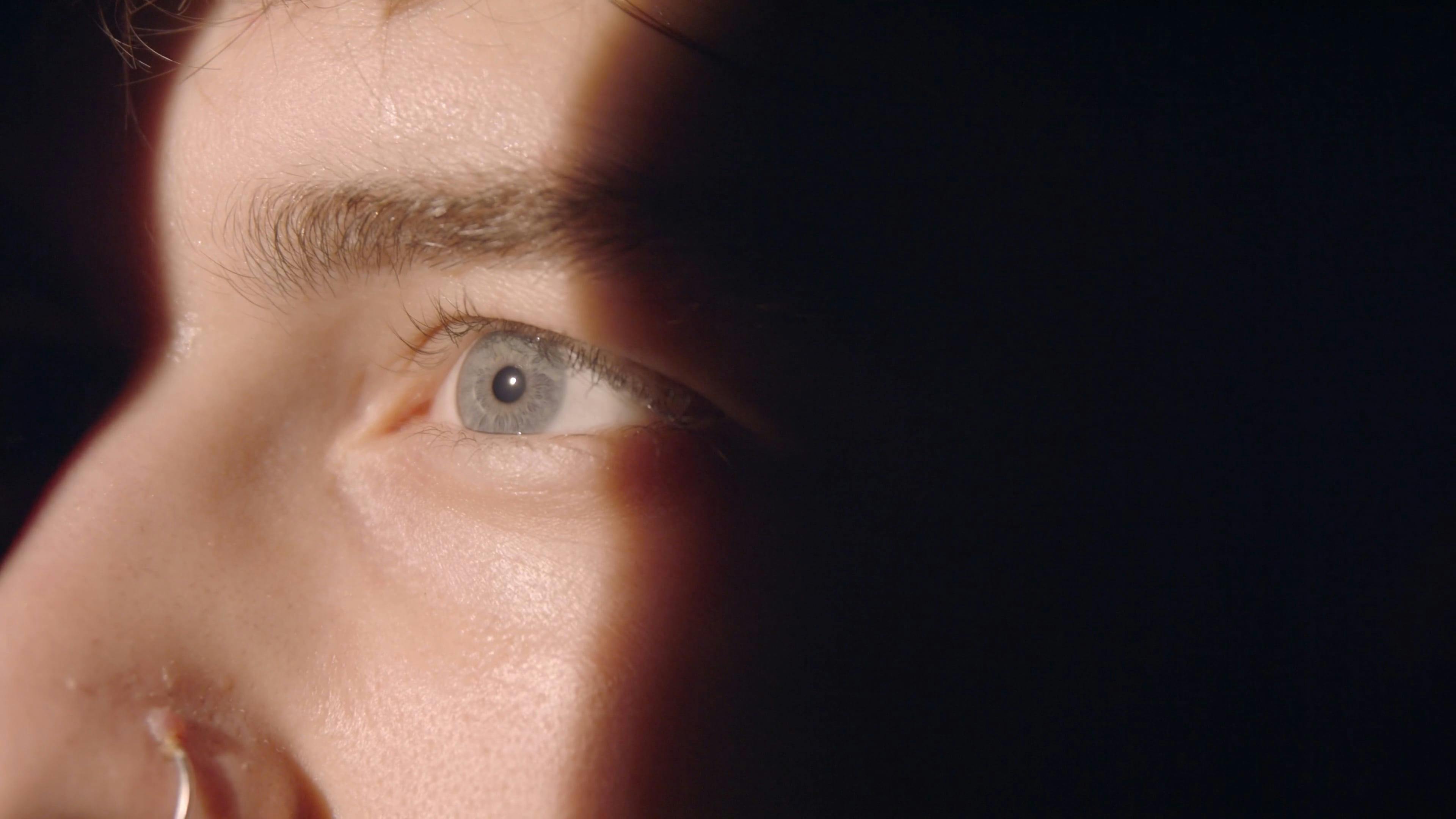 Vídeos de stock gratuitos sobre cara, de cerca, enfrentarse