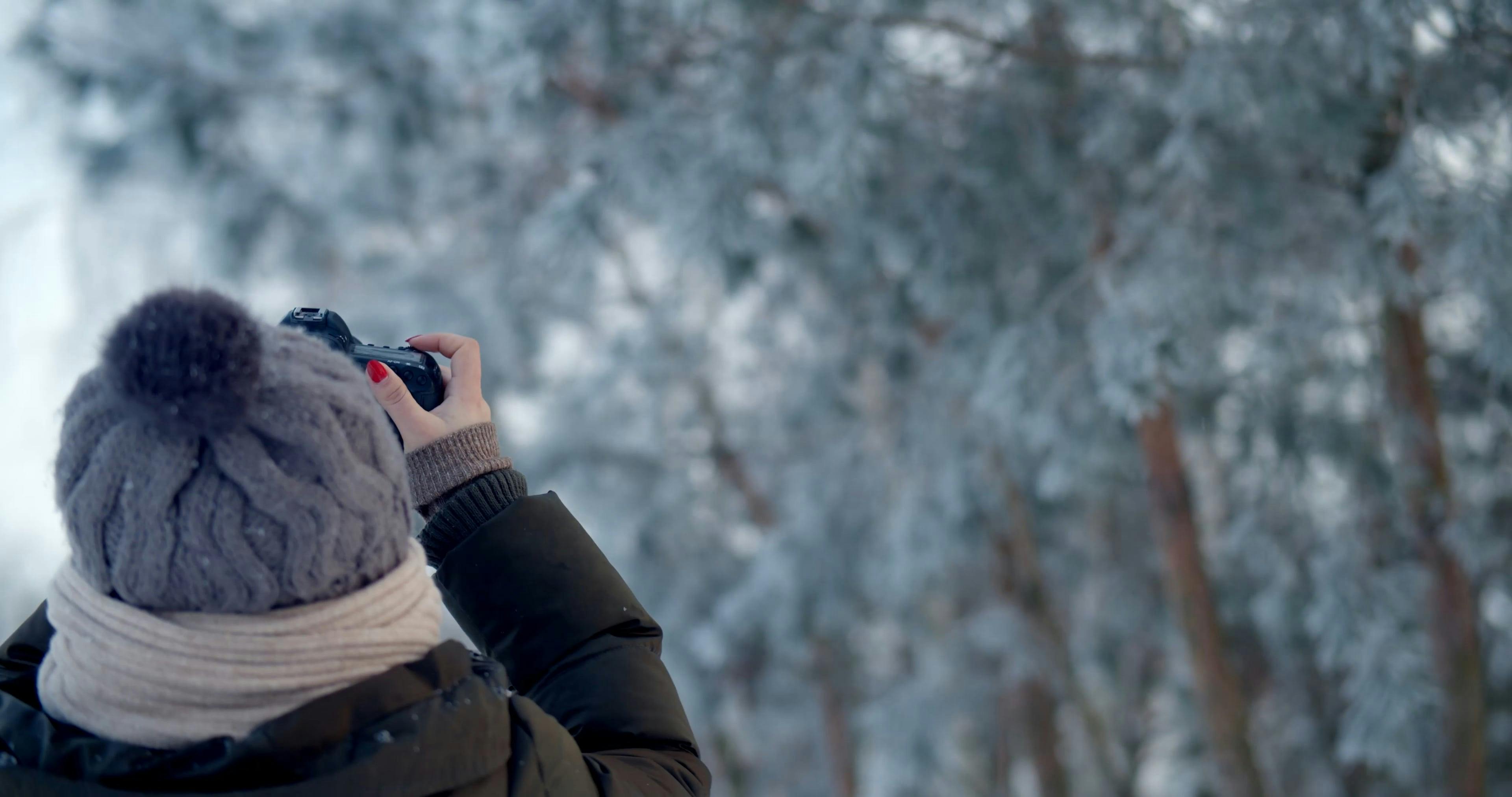 Photo Of Tree Videos, Download The BEST Free 4k Stock Video Footage ...