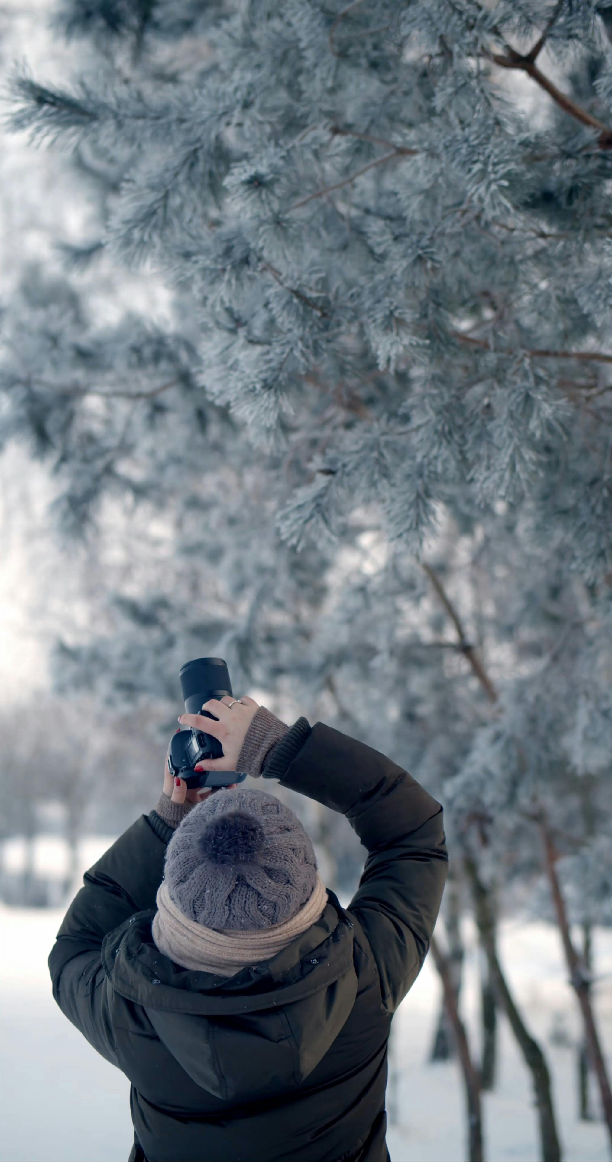 Camera Freeze Videos, Download The BEST Free 4k Stock Video Footage ...