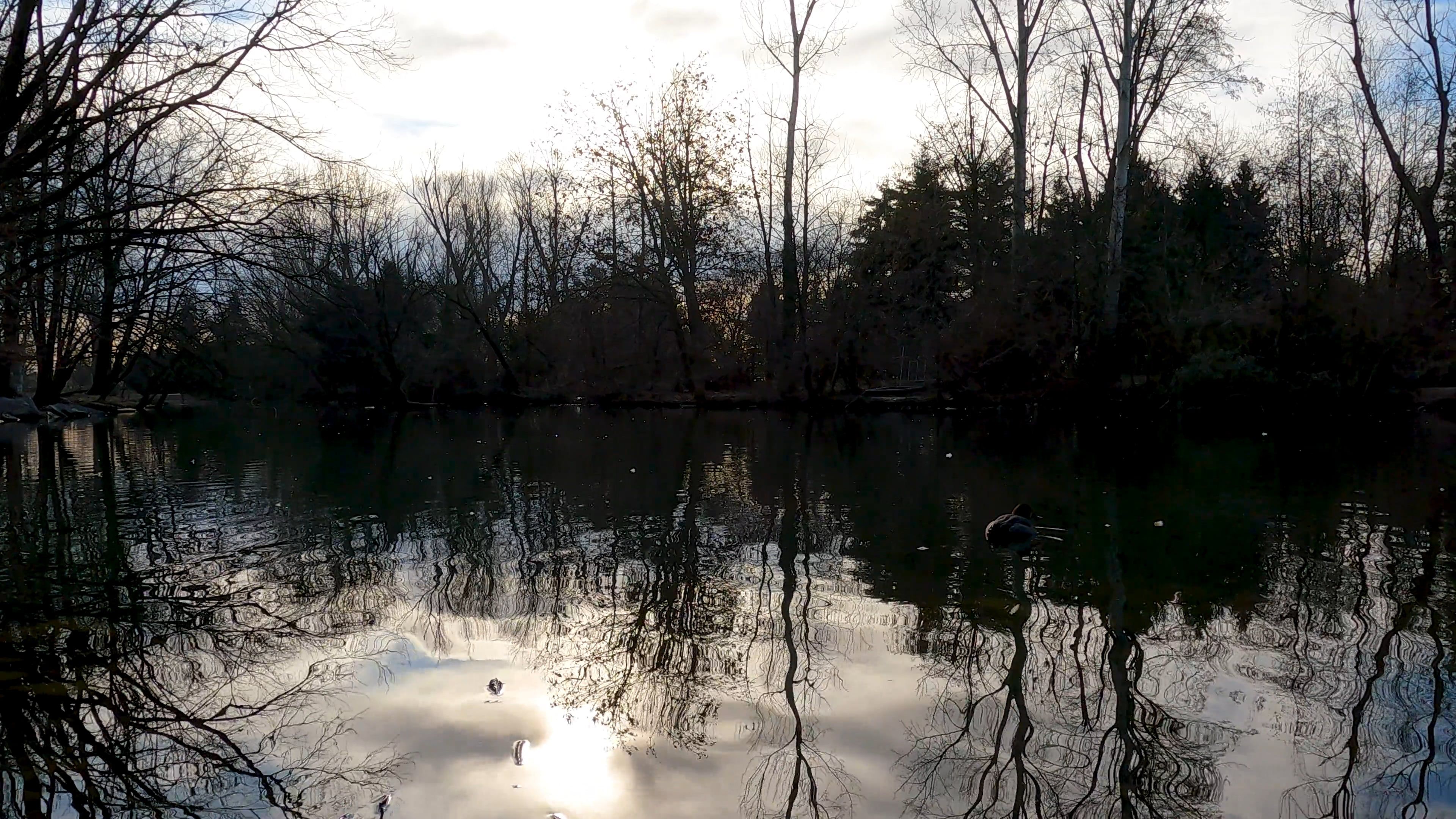 Ambient_Nature_ Atmosphere · 写真