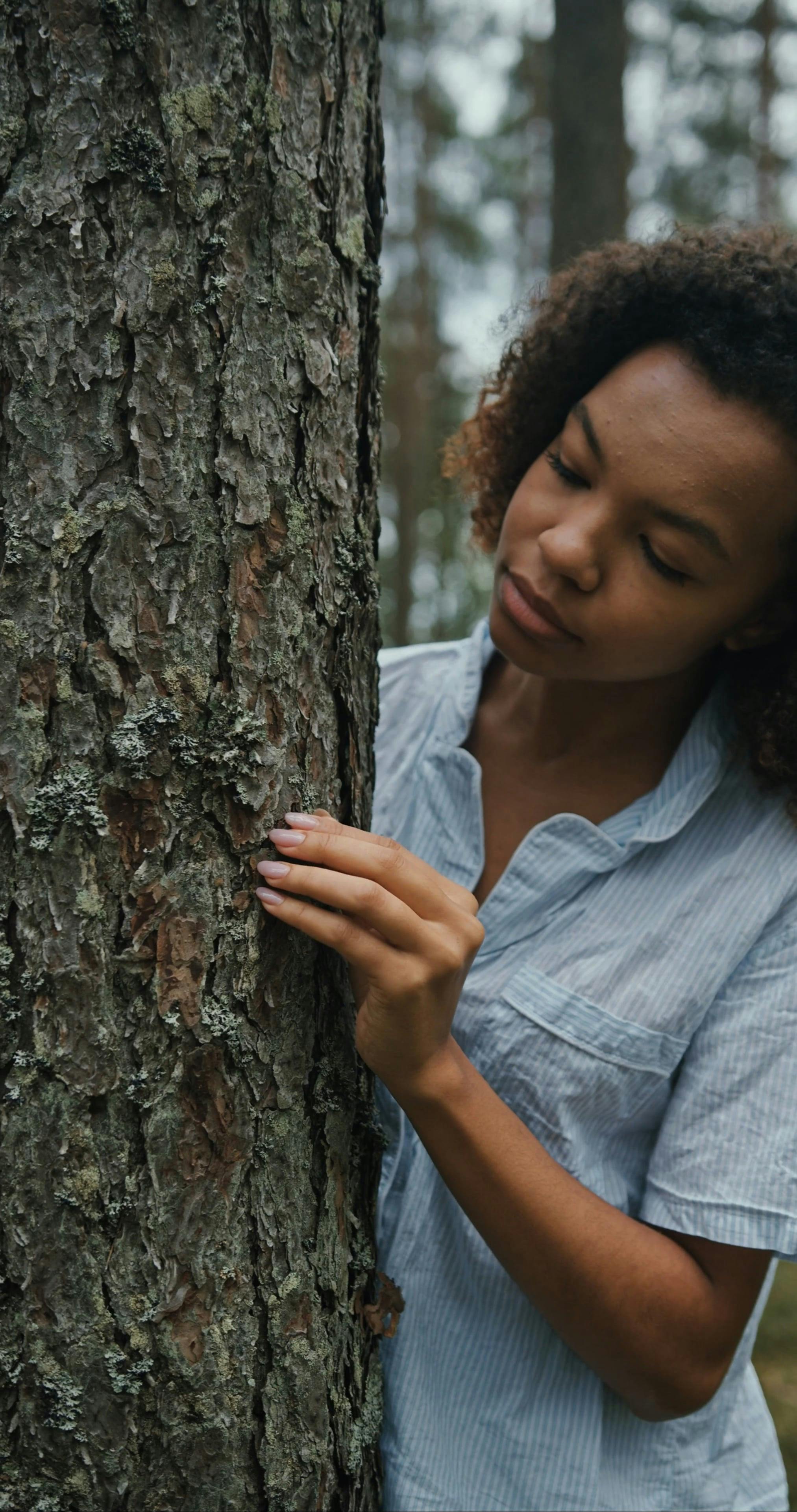 Woman Touching Tree · Free Stock Video