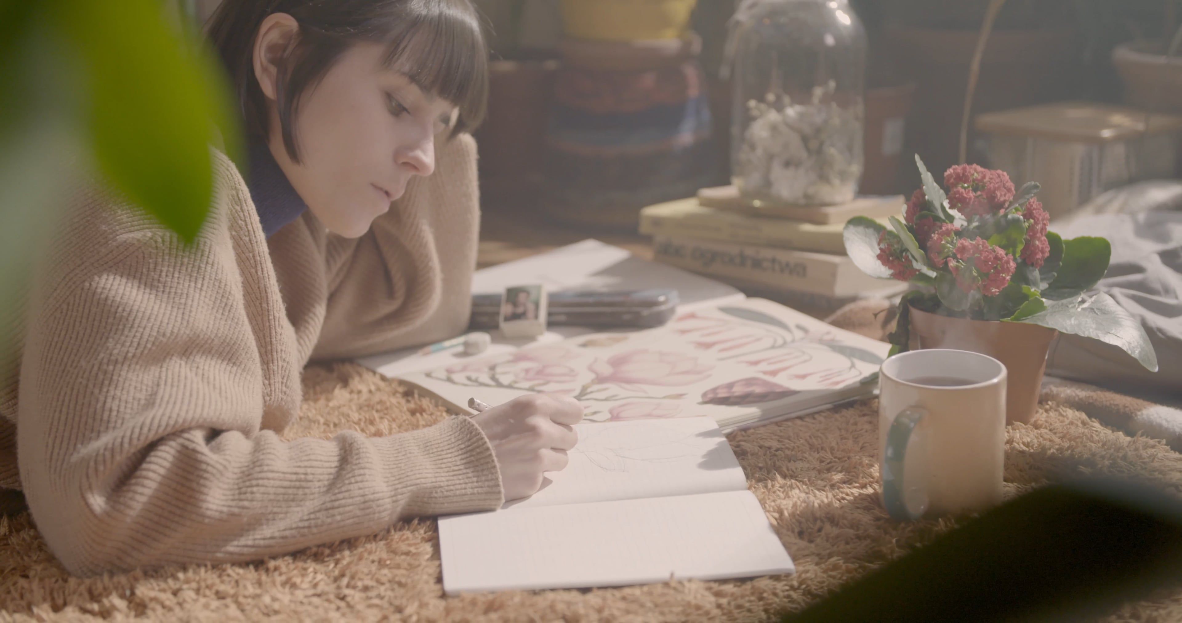 Woman Drawing in Notebook · Free Stock Video