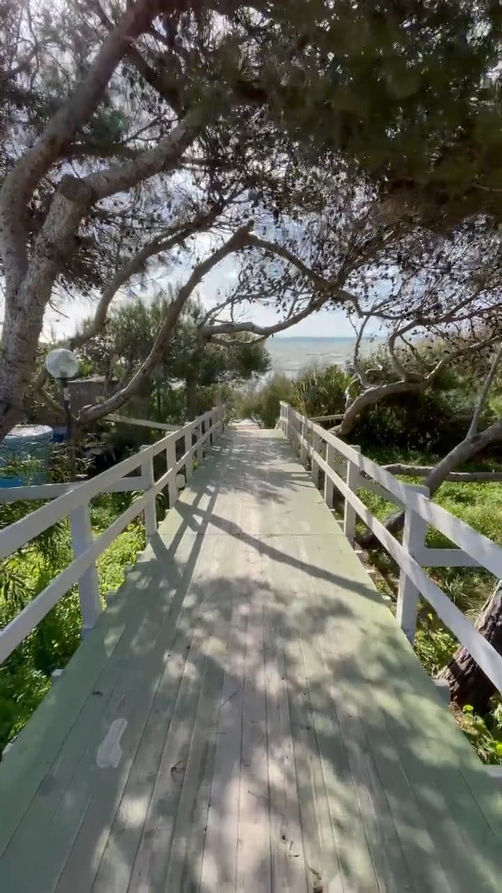 Video of Wooden Bridge with Trees on the Side · Free Stock Video