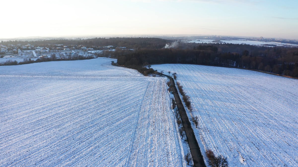 Drone Footage Forest Videos, Download The BEST Free 4k Stock Video ...