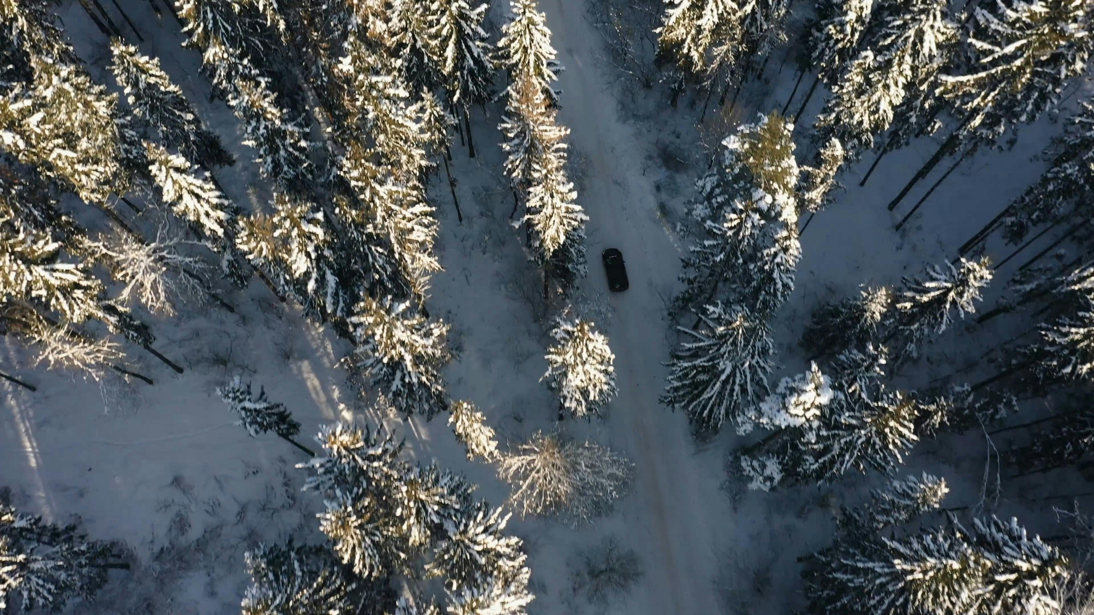 Drone View Of A Winter Landscape · Free Stock Video