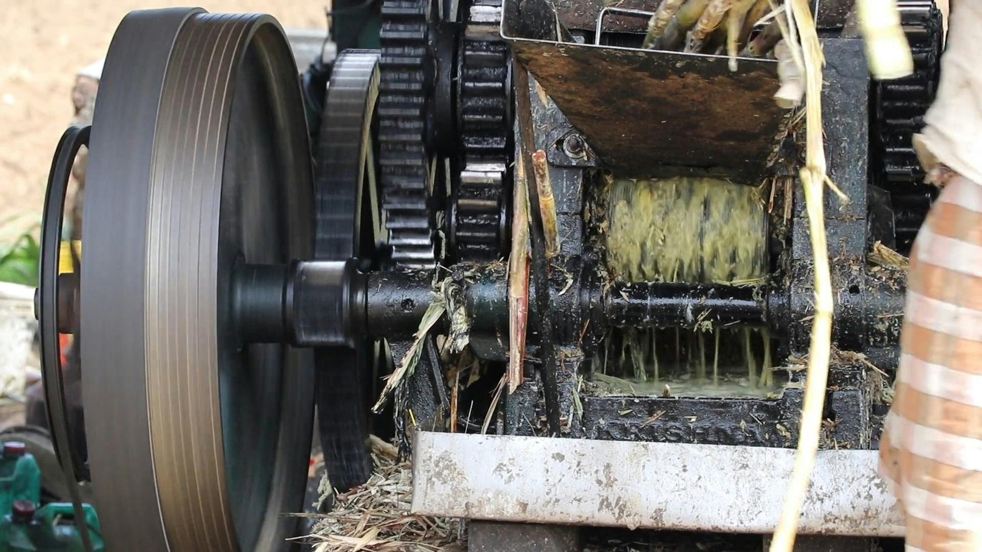 Plant Processing Videos, Download The BEST Free 4k Stock Video Footage ...