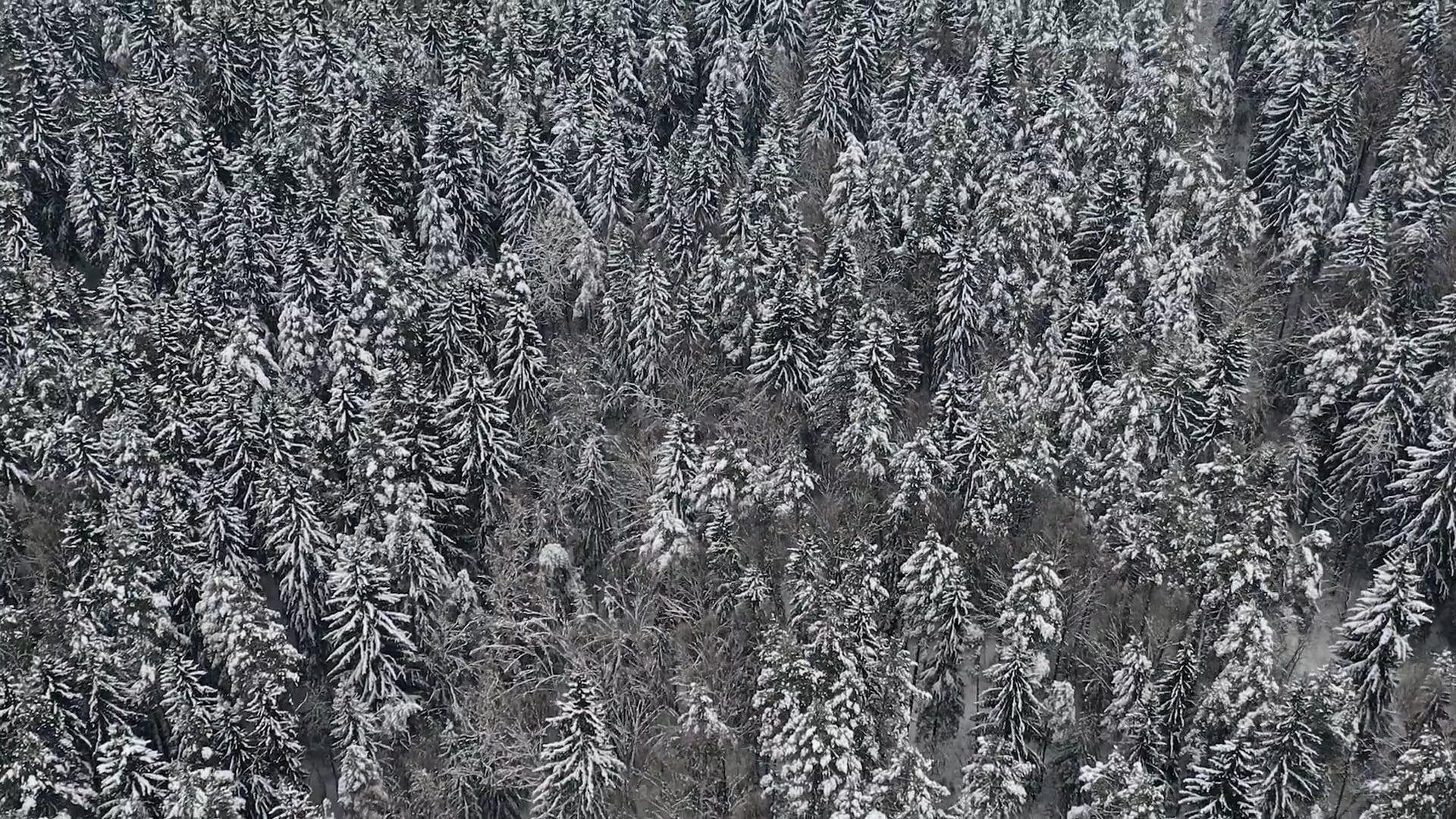 Aerial View Of Winter Landscape · Free Stock Video