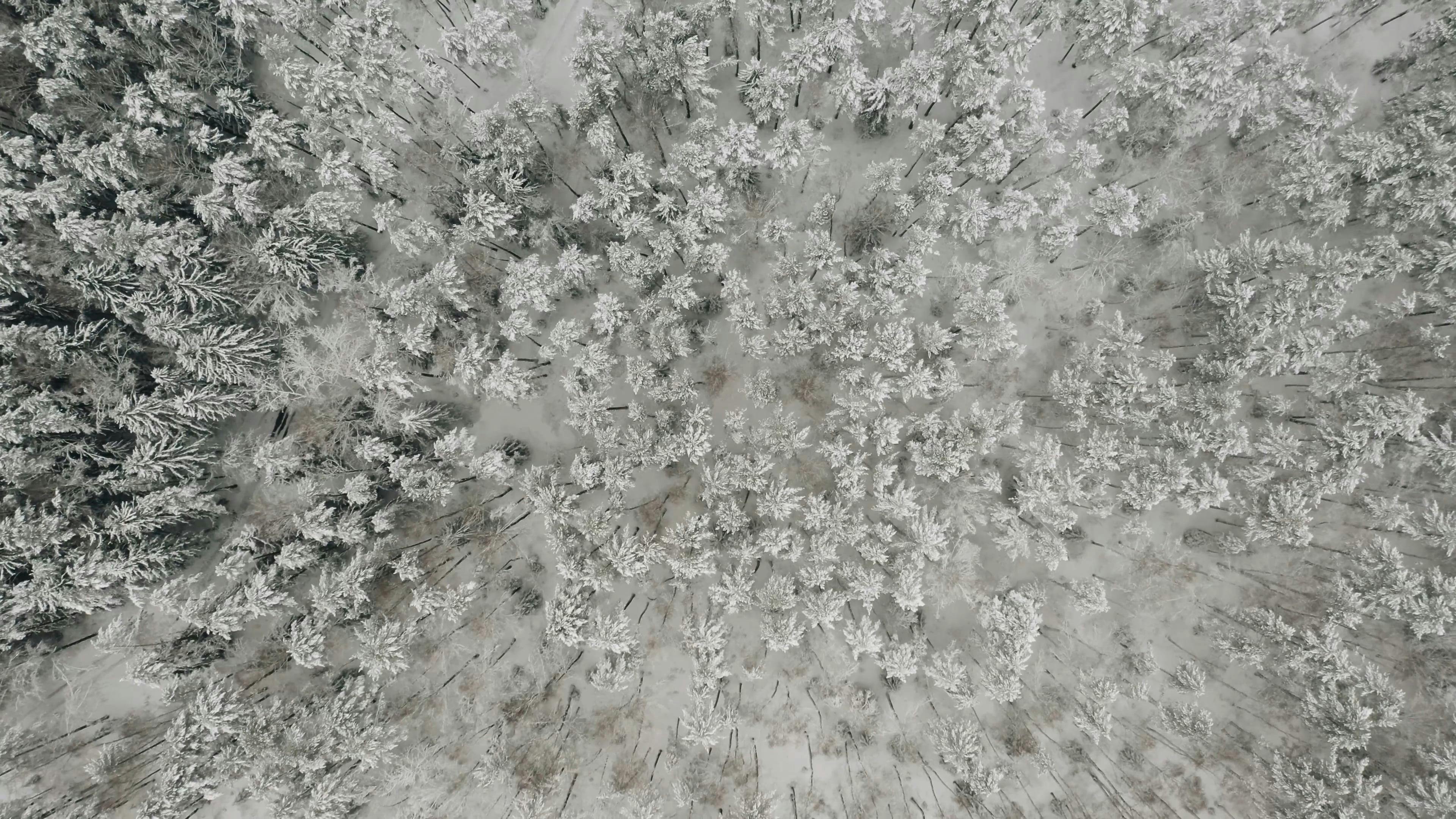 Aerial View Of Winter Landscape Free Stock Video Footage, Royalty-Free ...