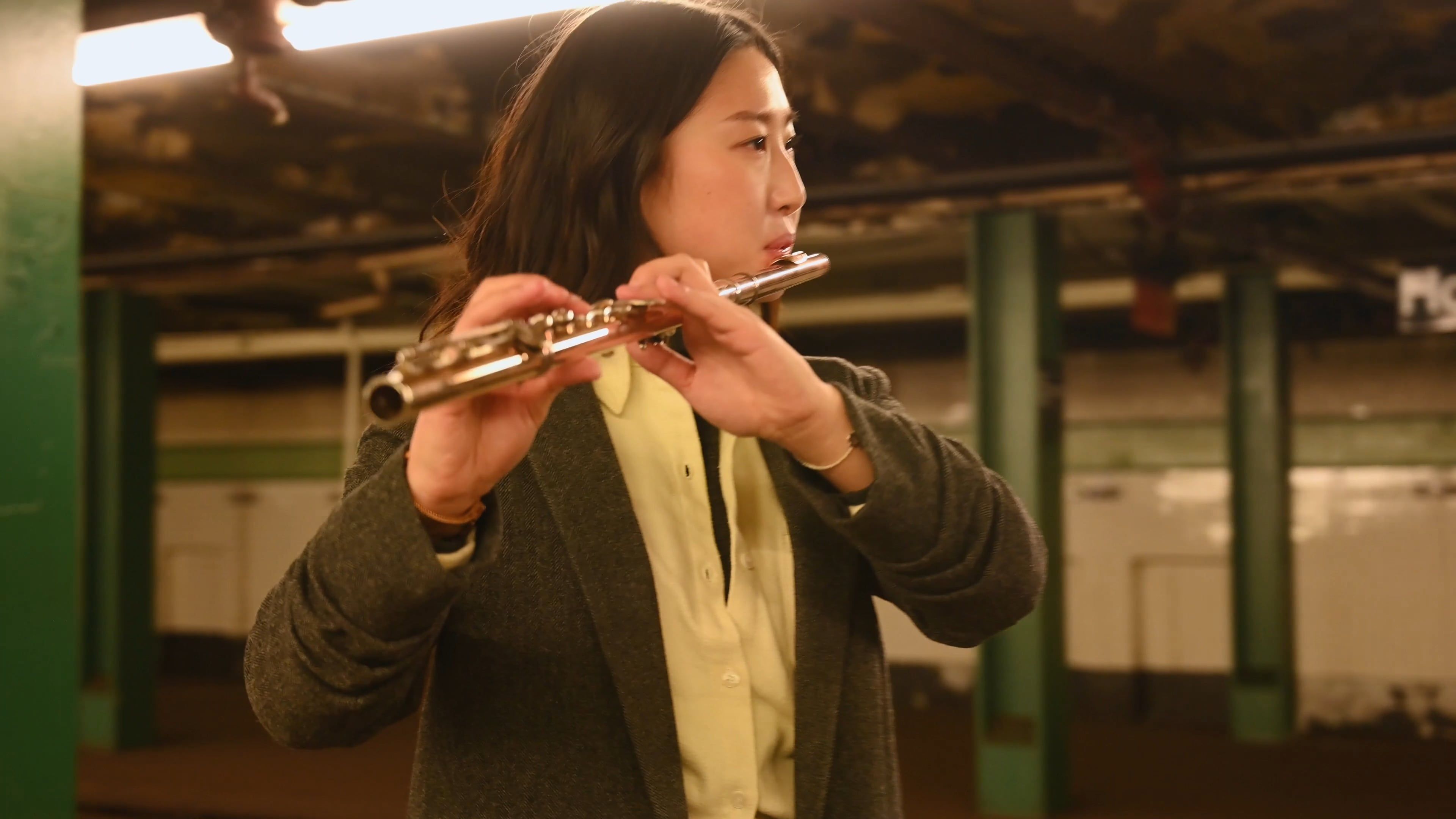 Flute Solo Videos, Download The BEST Free 4k Stock Video Footage ...