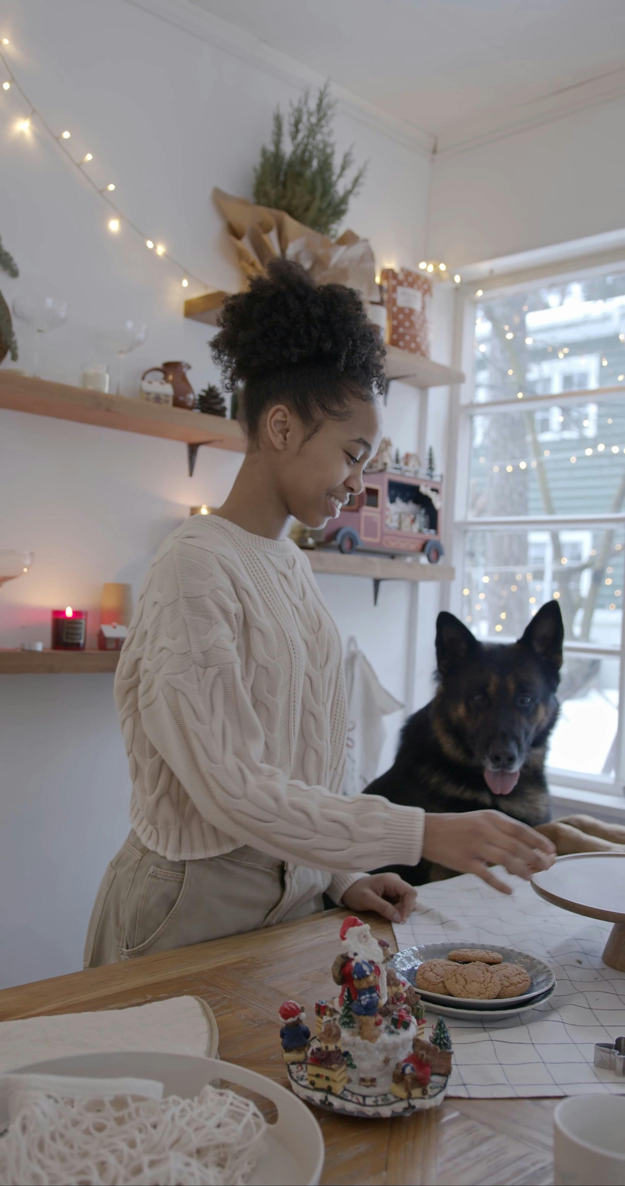 Sheet Dog Videos, Download The BEST Free 4k Stock Video Footage & Sheet ...