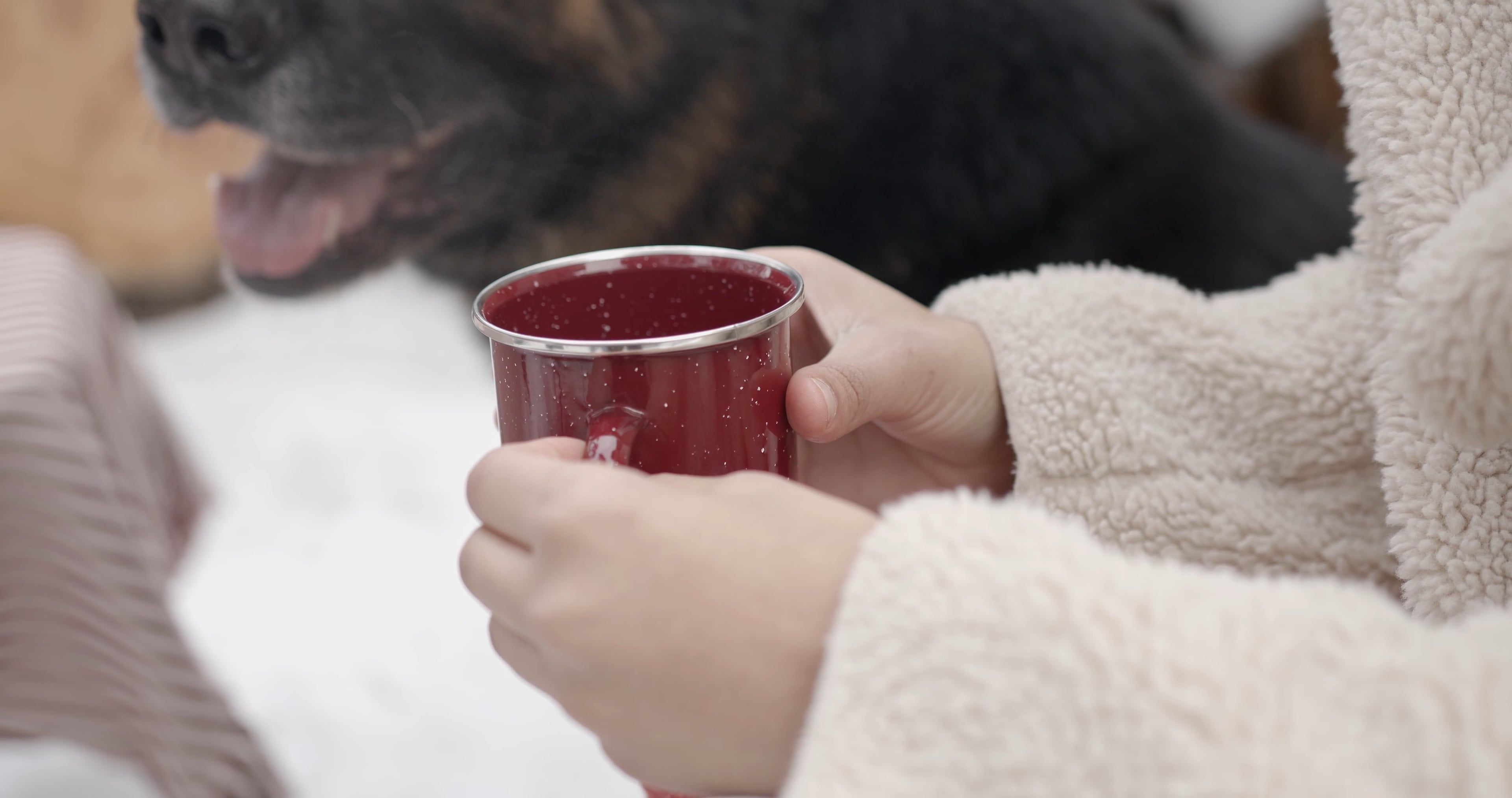 Winter Beverages Videos, Download The BEST Free 4k Stock Video Footage ...