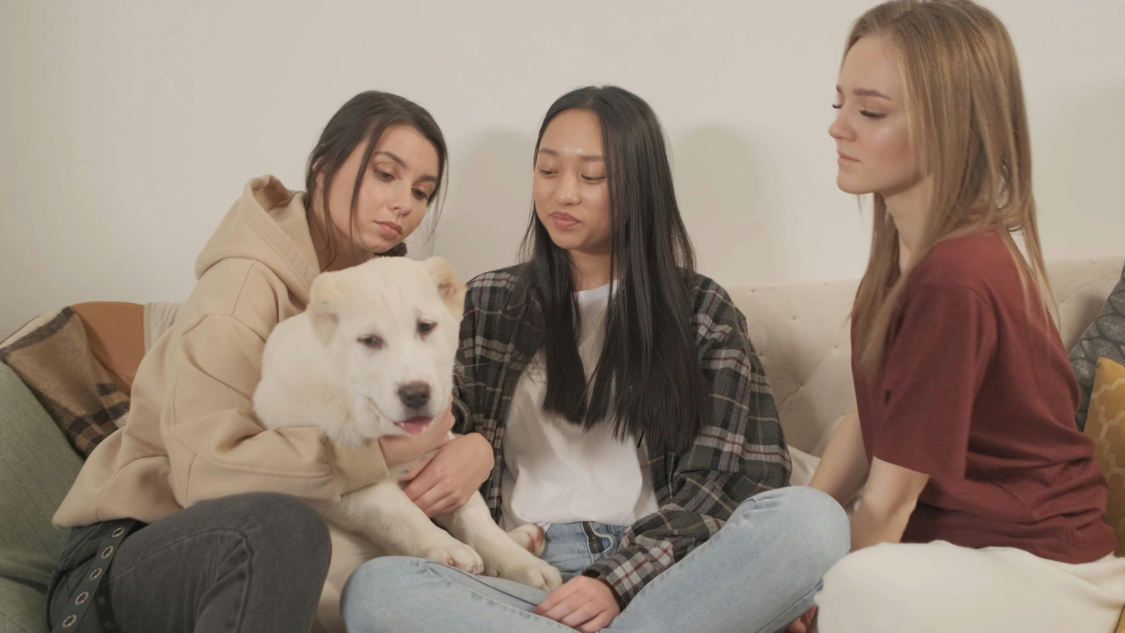 Move On Videos, Download The BEST Free 4k Stock Video Footage & Move On ...