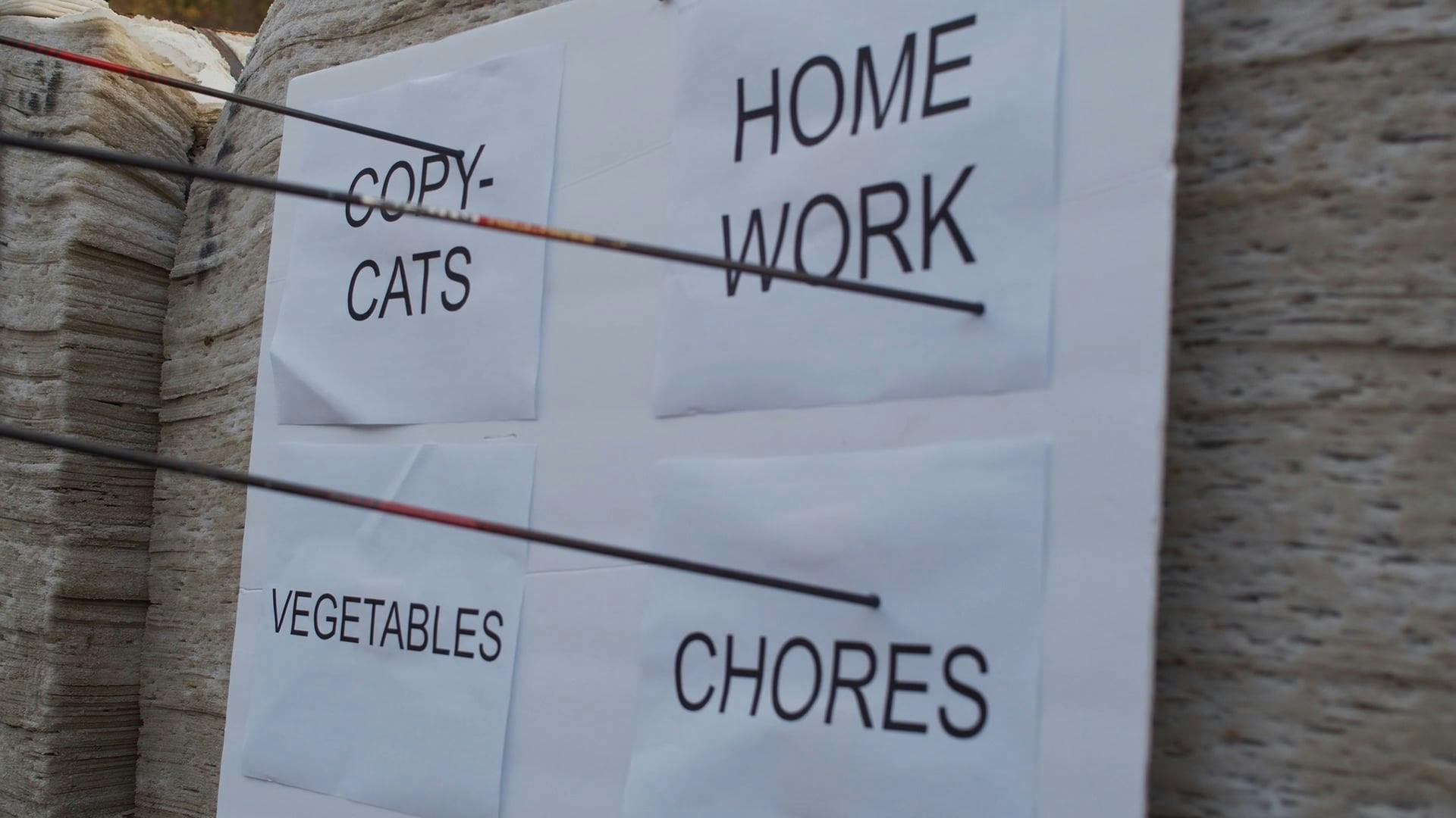 Hobby List Videos, Download The BEST Free 4k Stock Video Footage ...