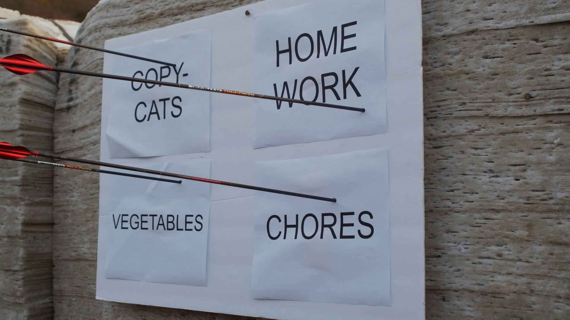 Sharp Cat Videos, Download The BEST Free 4k Stock Video Footage & Sharp ...