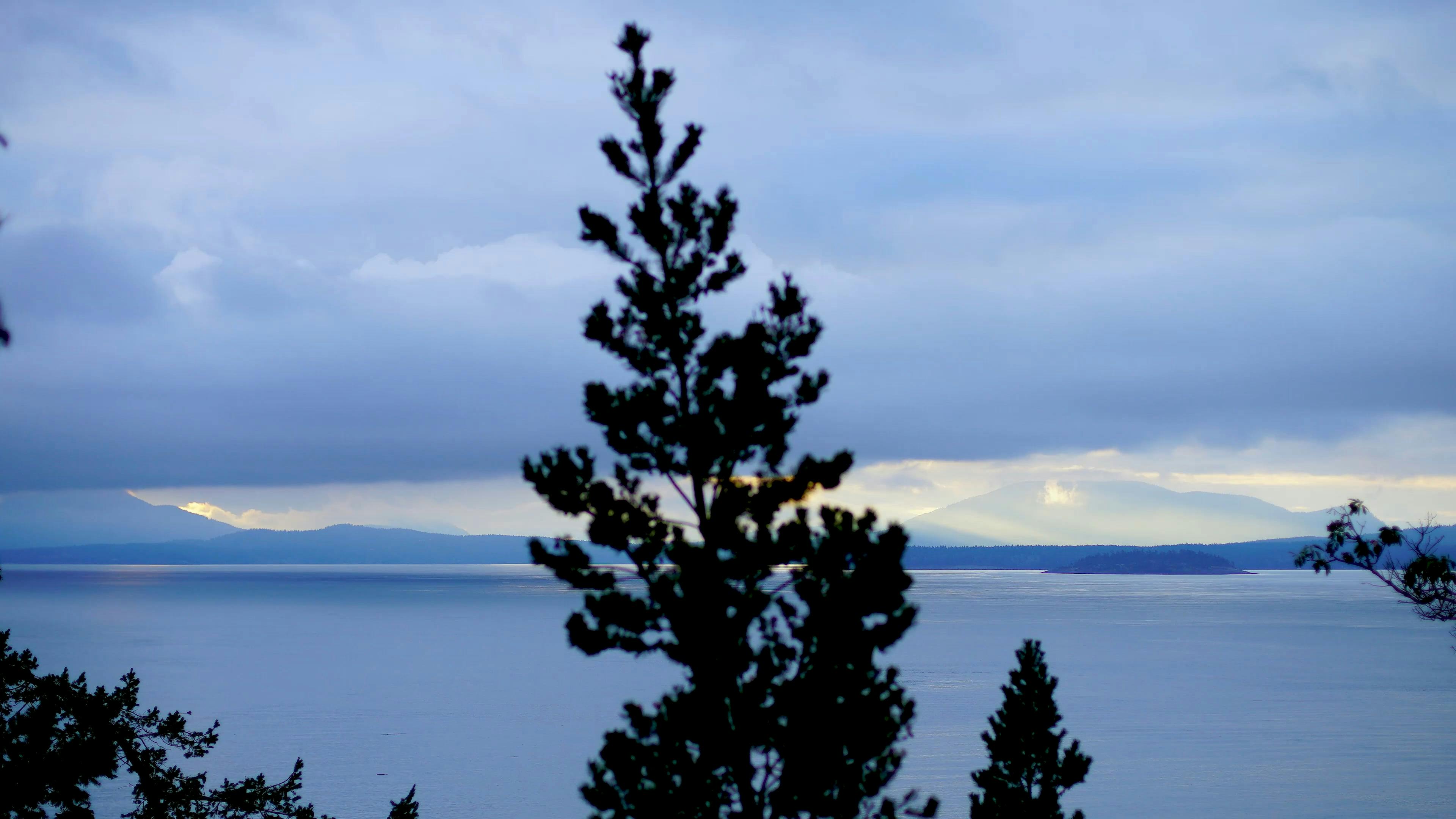 Postcard Pictures - 摄影