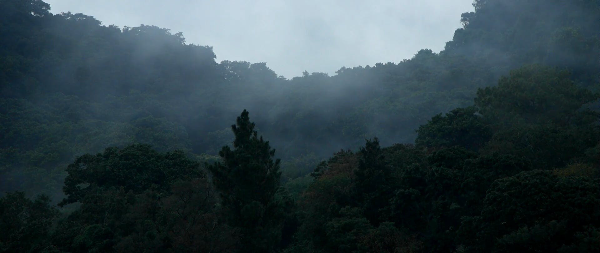 Shaky Videos, Download The BEST Free 4k Stock Video Footage & Shaky HD ...