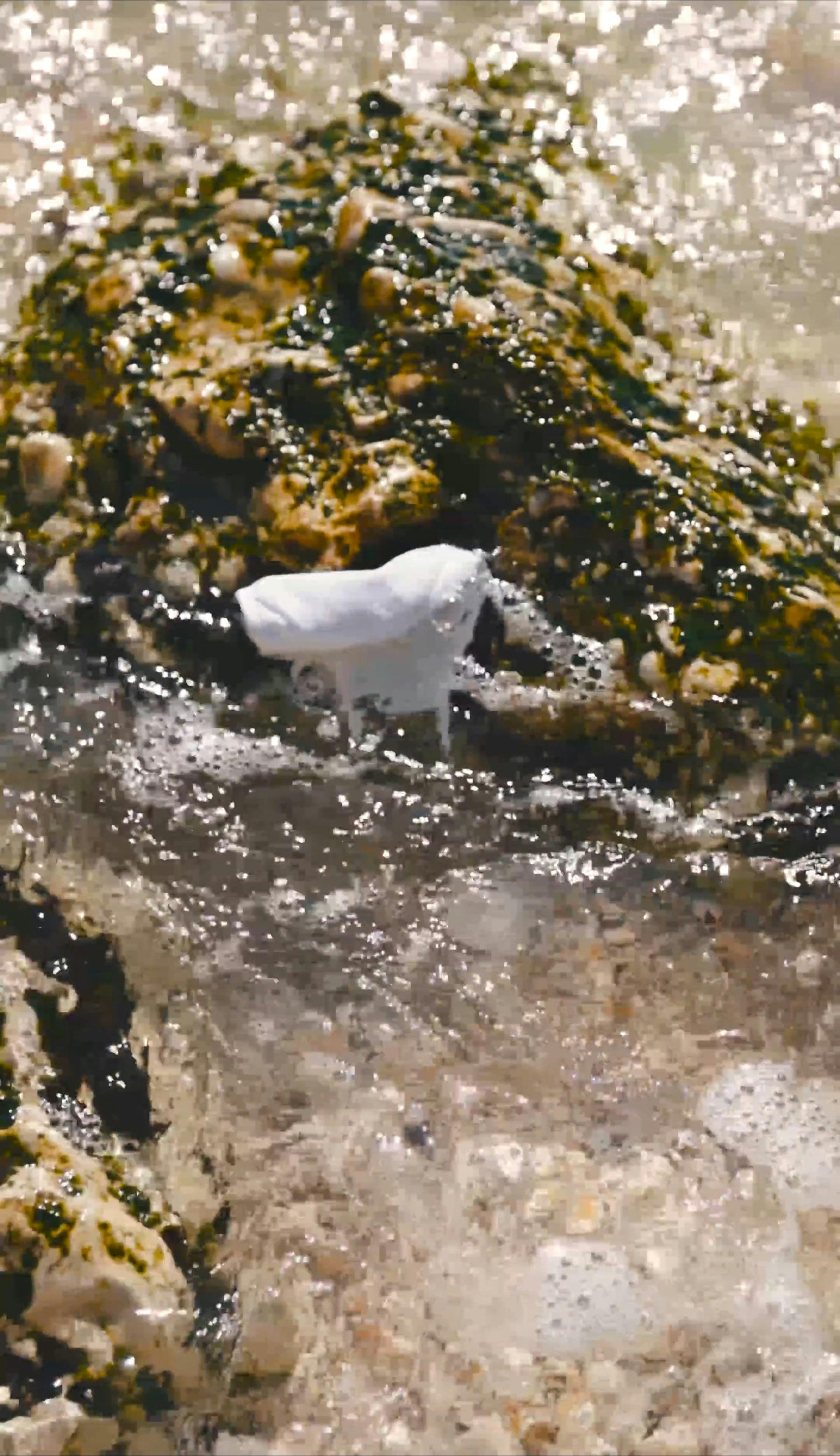 Planet Pollution Videos, Download The BEST Free 4k Stock Video Footage ...