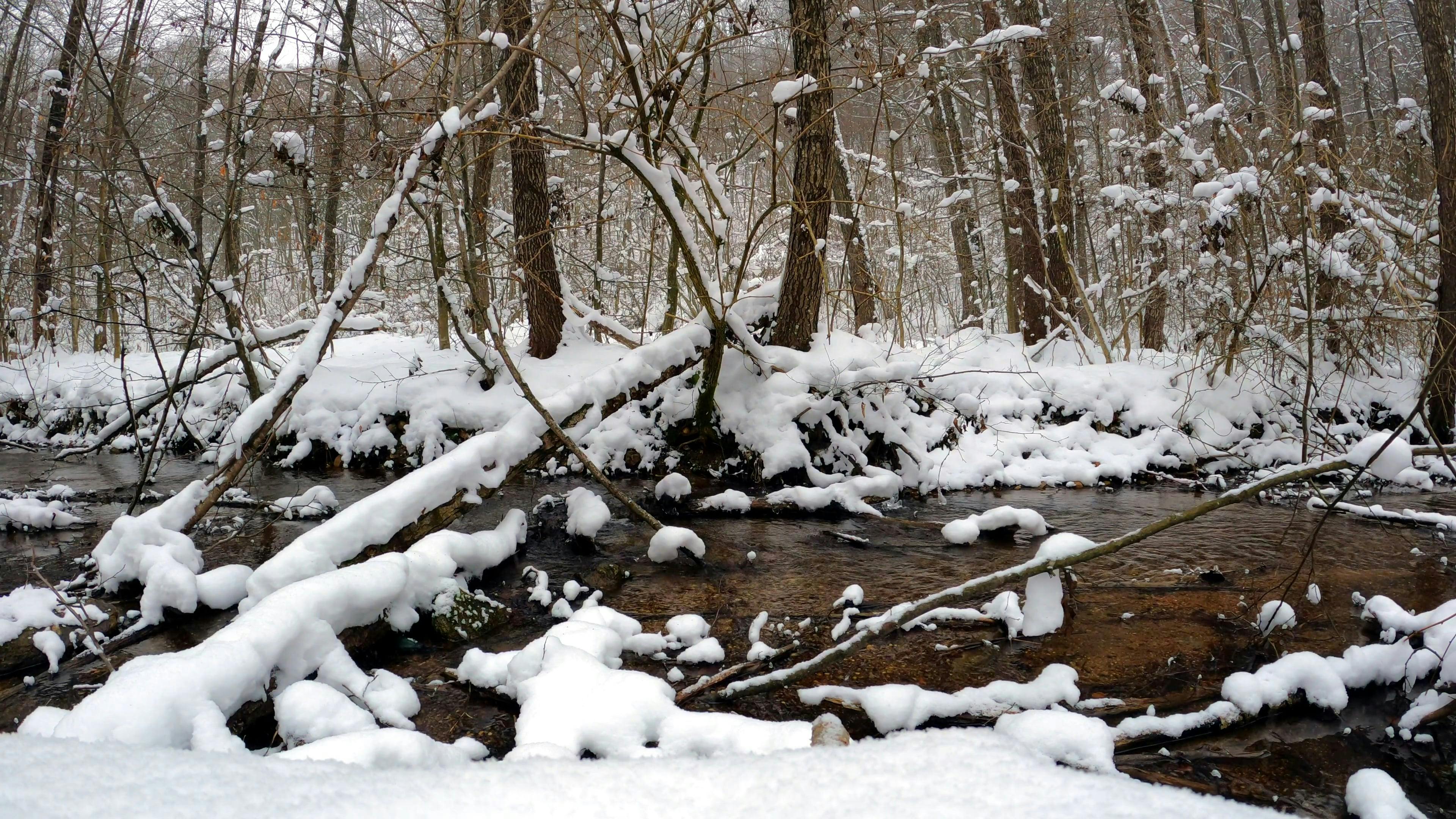 A Bridge Across The Forest River Covered In Snow Free Stock Video ...