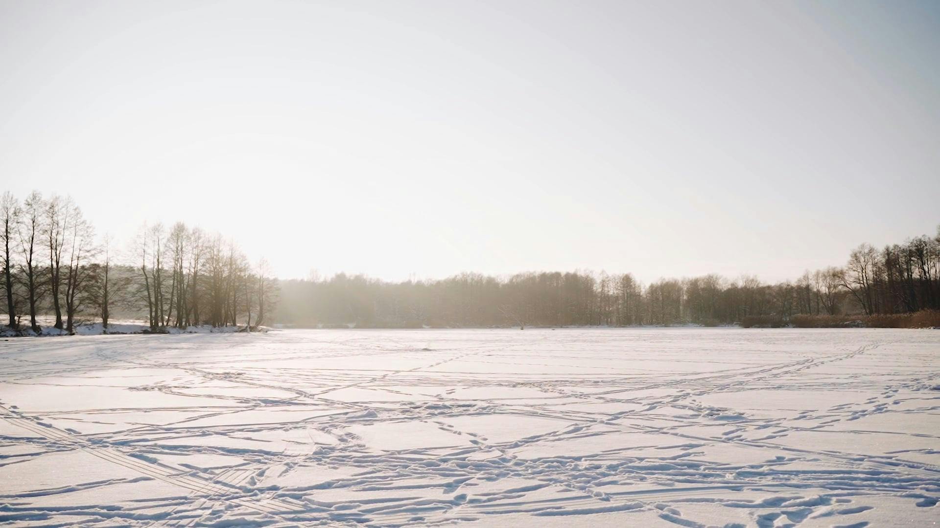View of the Snow Covered Land in the Forest · Free Stock Video