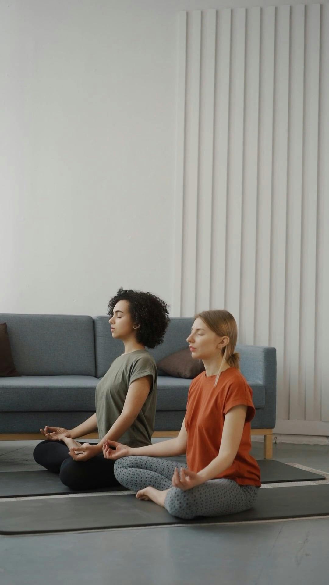 Two Women In Meditation · Free Stock Video